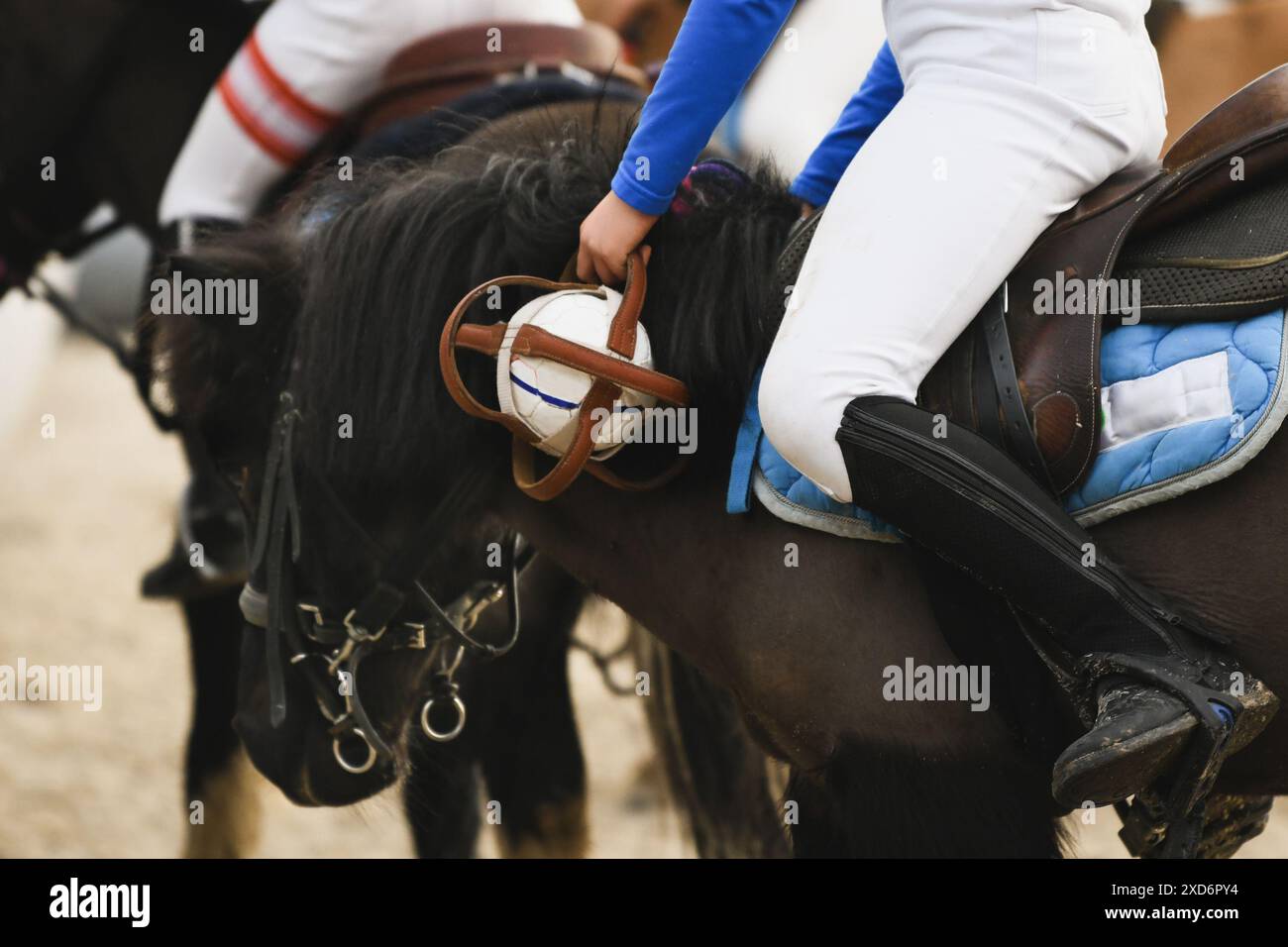 Children on horses playing horseball Stock Photo - Alamy