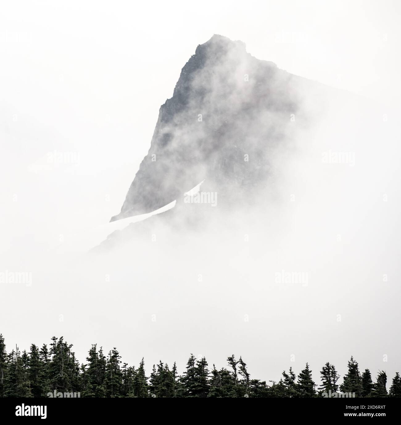 Mountain In Fog Looks LIke Wooly Mammoth With Tusk from the Spray Park ...