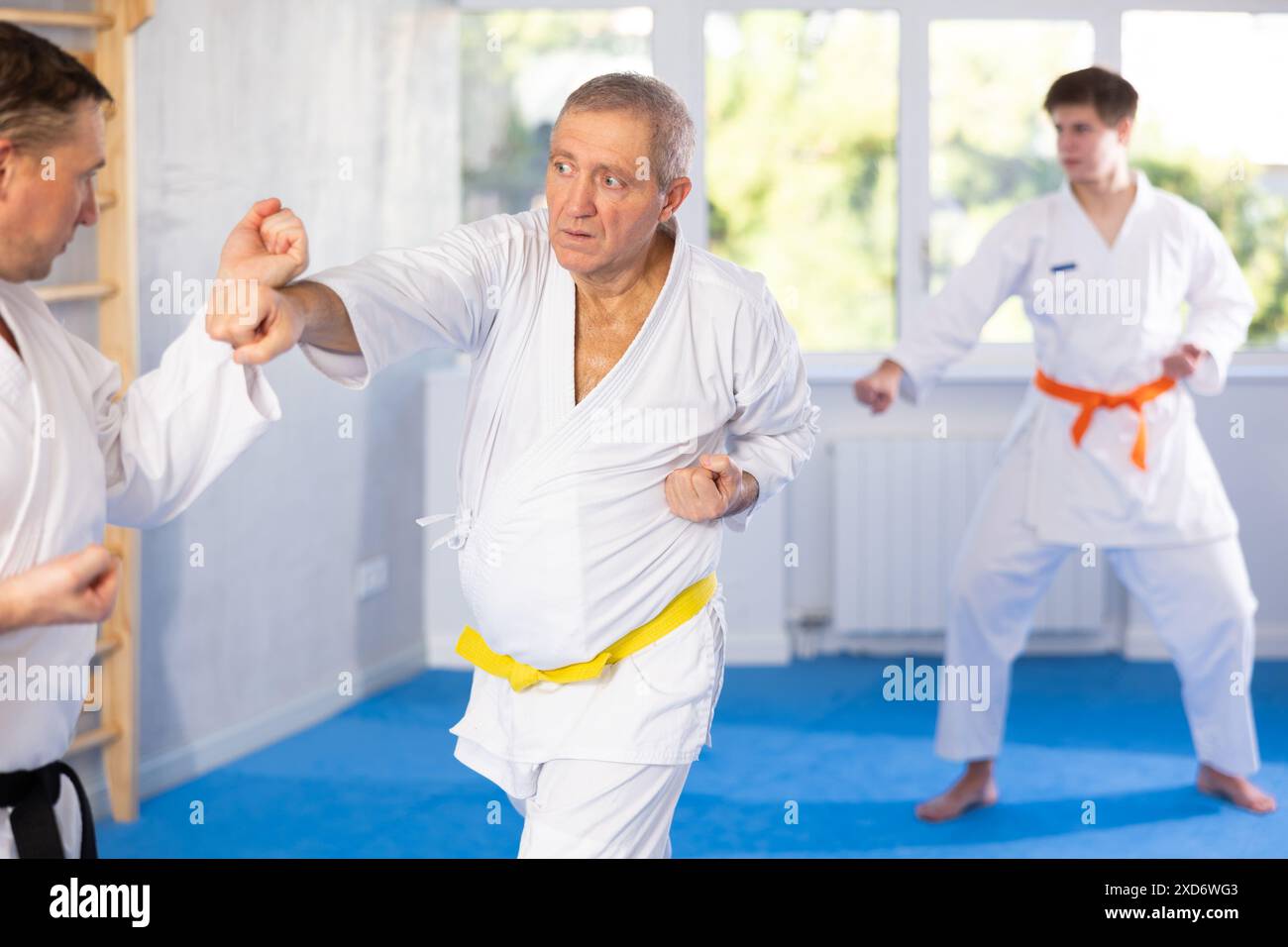 Elderly karate fighter engaging kumite with male rival Stock Photo - Alamy