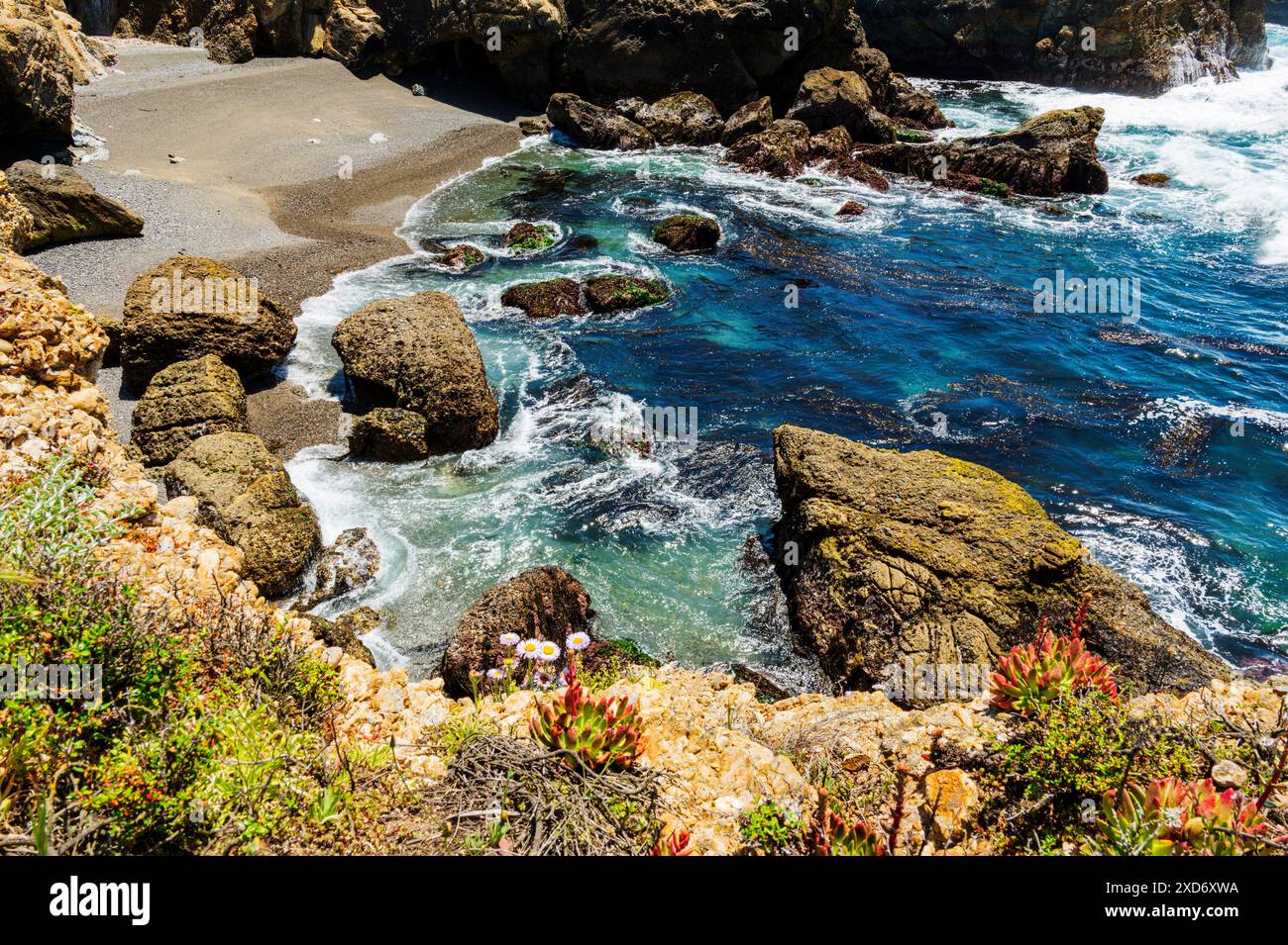 Point lobos state natural preserve hi-res stock photography and images ...