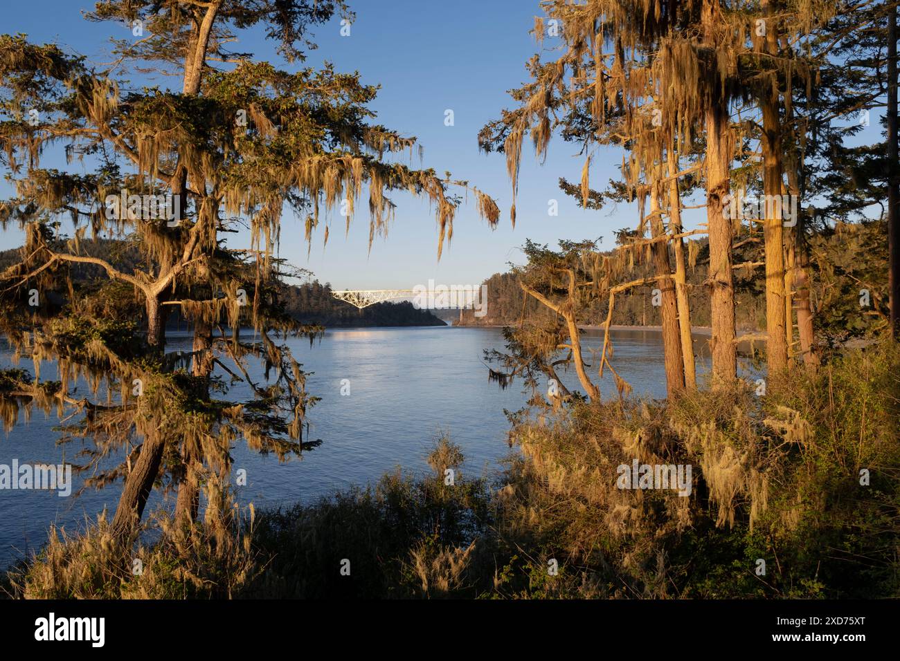 WA24838-00....WASHINGTON - Decption Pass and bridge as seen from West ...