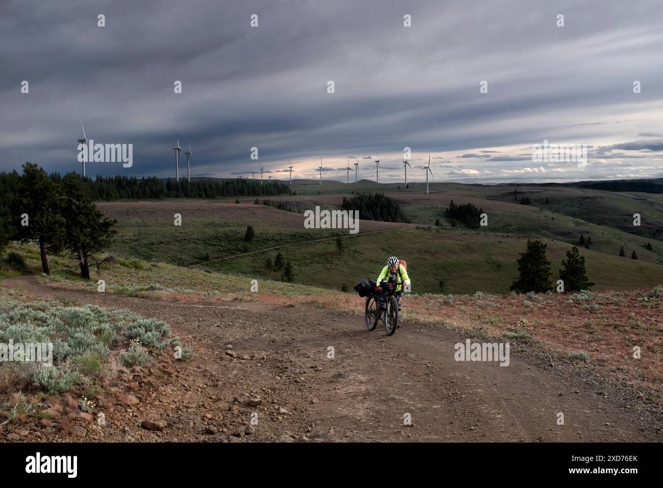 WA24883-00.......WASHINGTON - Vicky Spring asendin a steep rocky road ...
