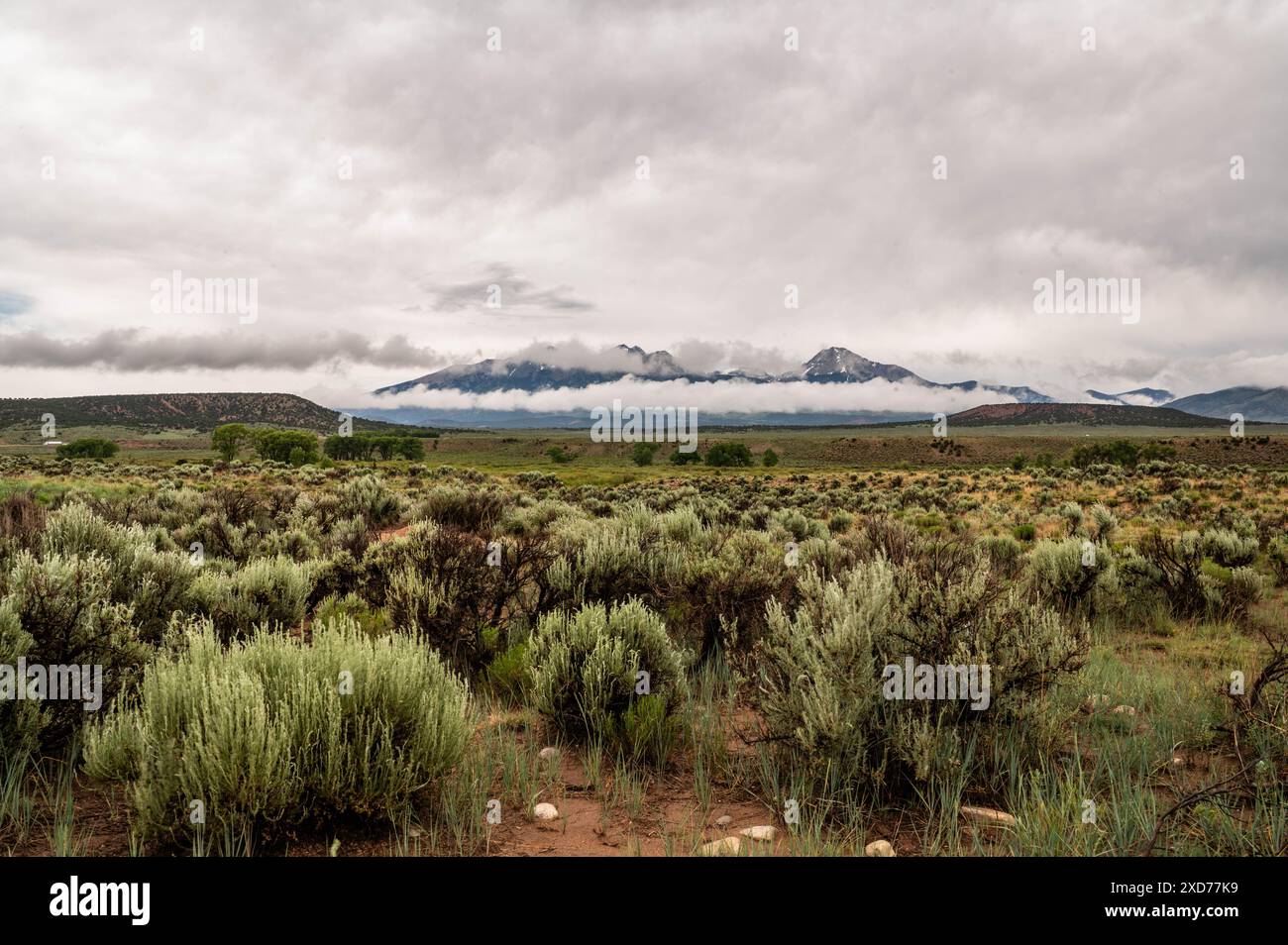 Garland with landscape hi-res stock photography and images - Alamy