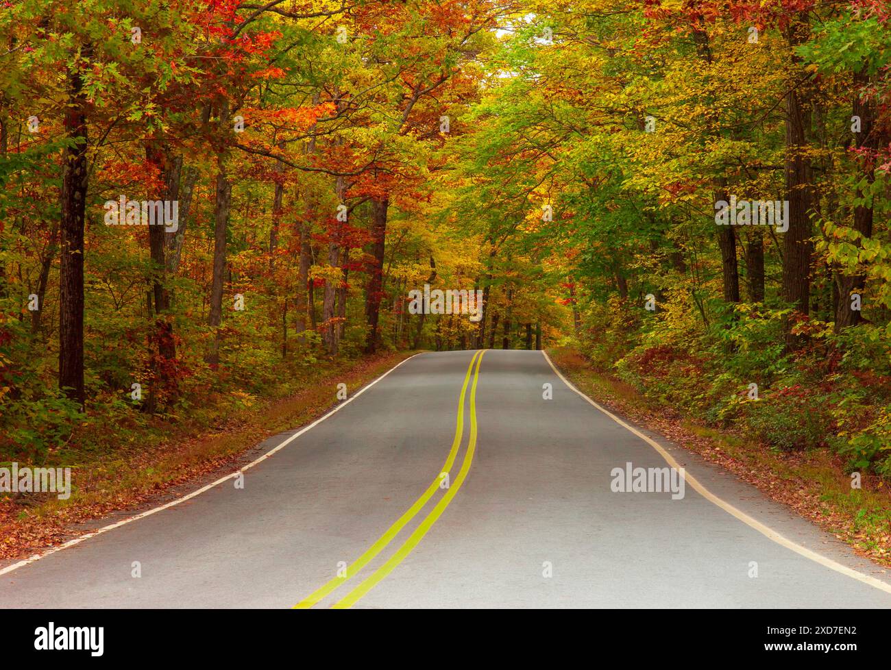 Promised land state park pike hi-res stock photography and images - Alamy
