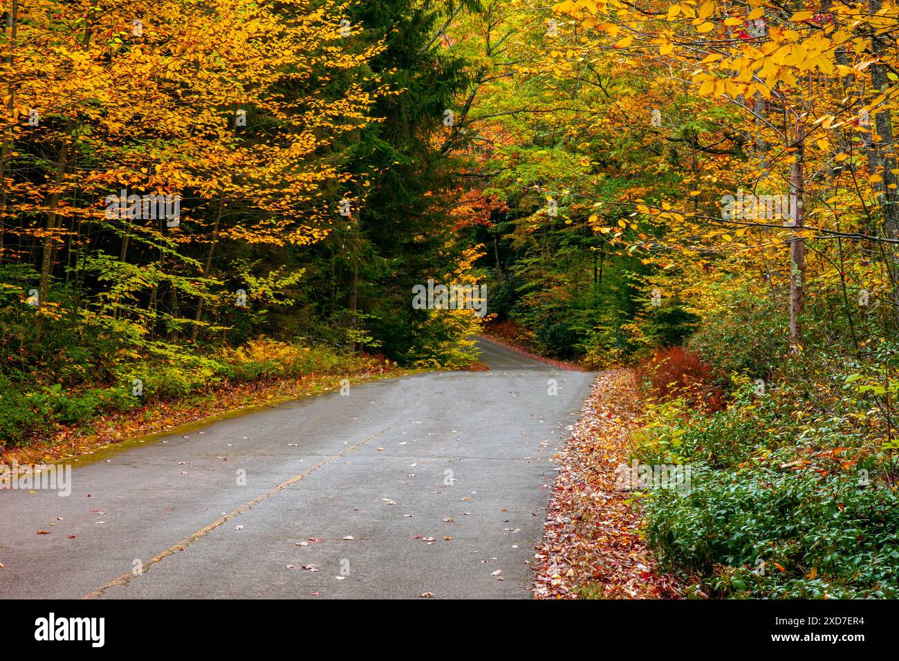 Autumn road at Promised Land State Park Stock Photo - Alamy