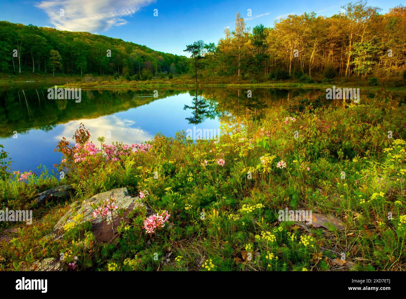 Blue Mountain Lake, Delaware Water Gap National Recreation Stock Photo ...