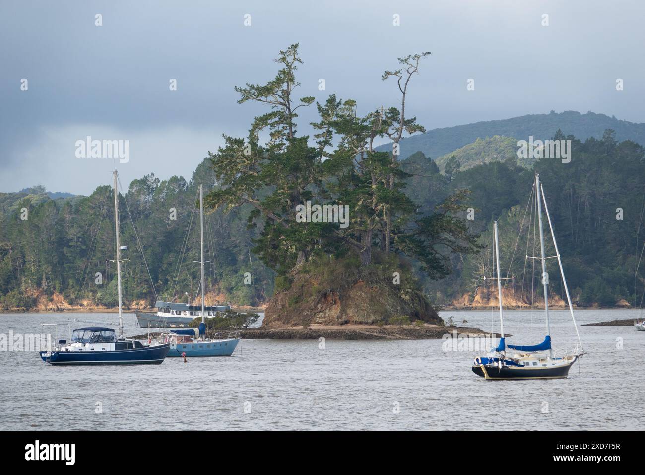 Tree covered island in the Waikare Inlet, Bay of Islands, New Zealand ...