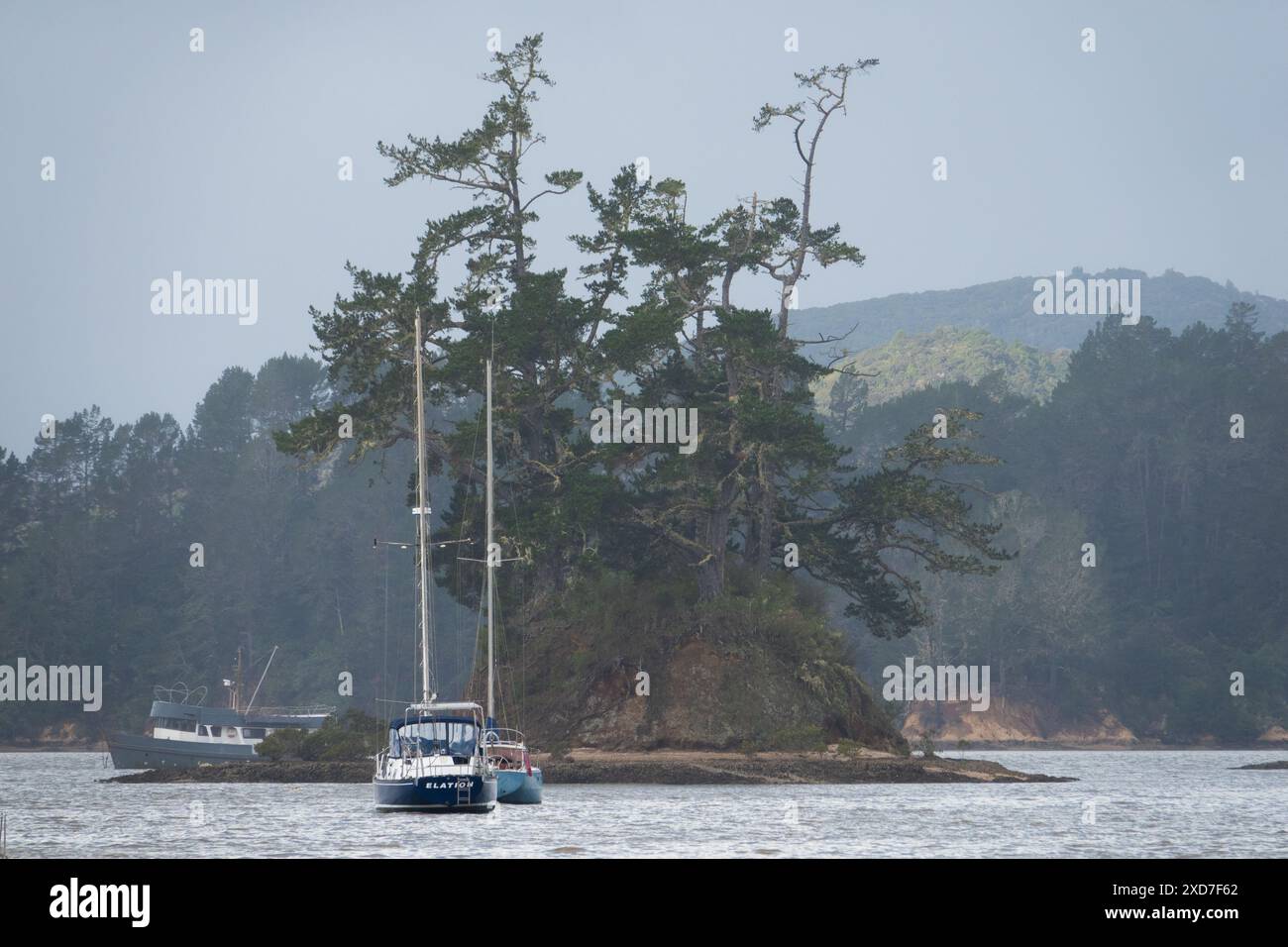 Tree covered island in the Waikare Inlet, Bay of Islands, New Zealand ...