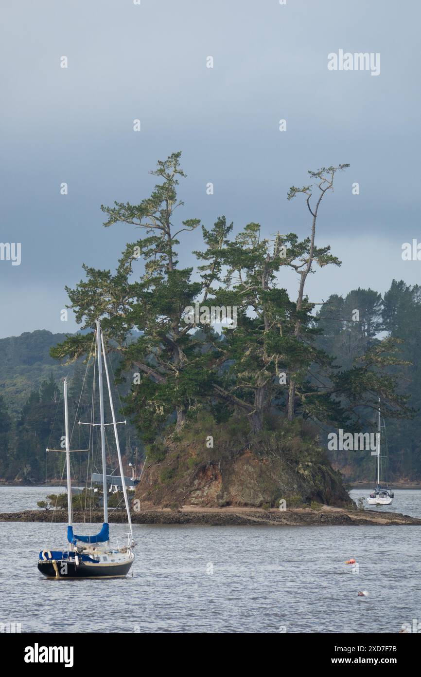 Tree covered island in the Waikare Inlet, Bay of Islands, New Zealand ...
