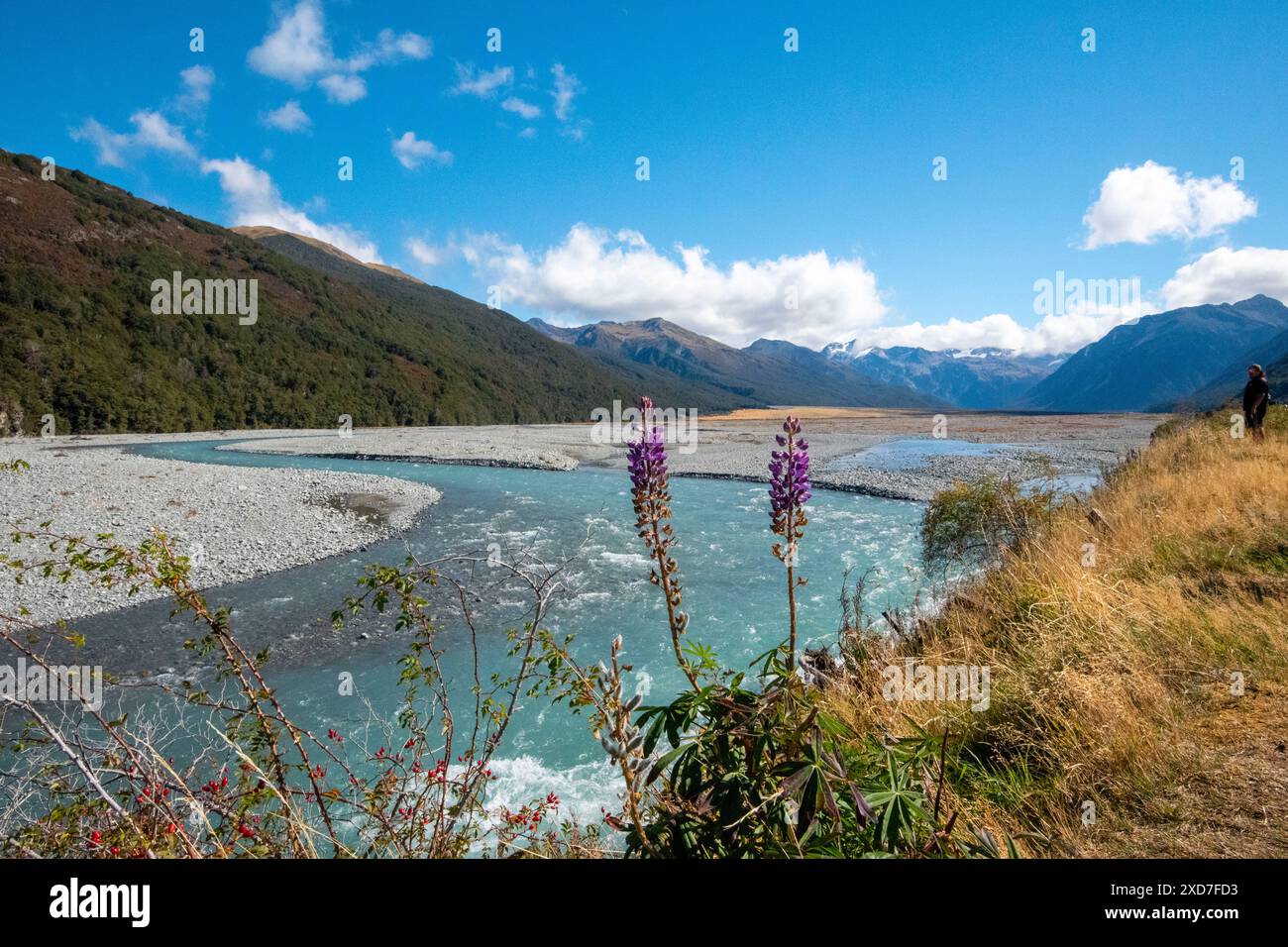 Shallow river new zealand hi-res stock photography and images - Alamy