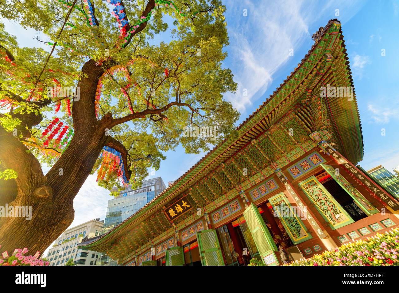 Korea tree hi-res stock photography and images - Alamy