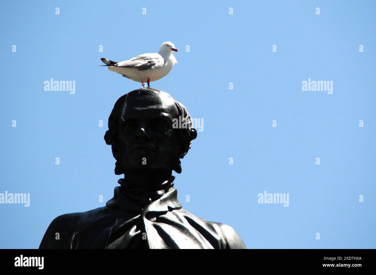 A statue of a man with a live bird sitting on his head Stock Photo - Alamy