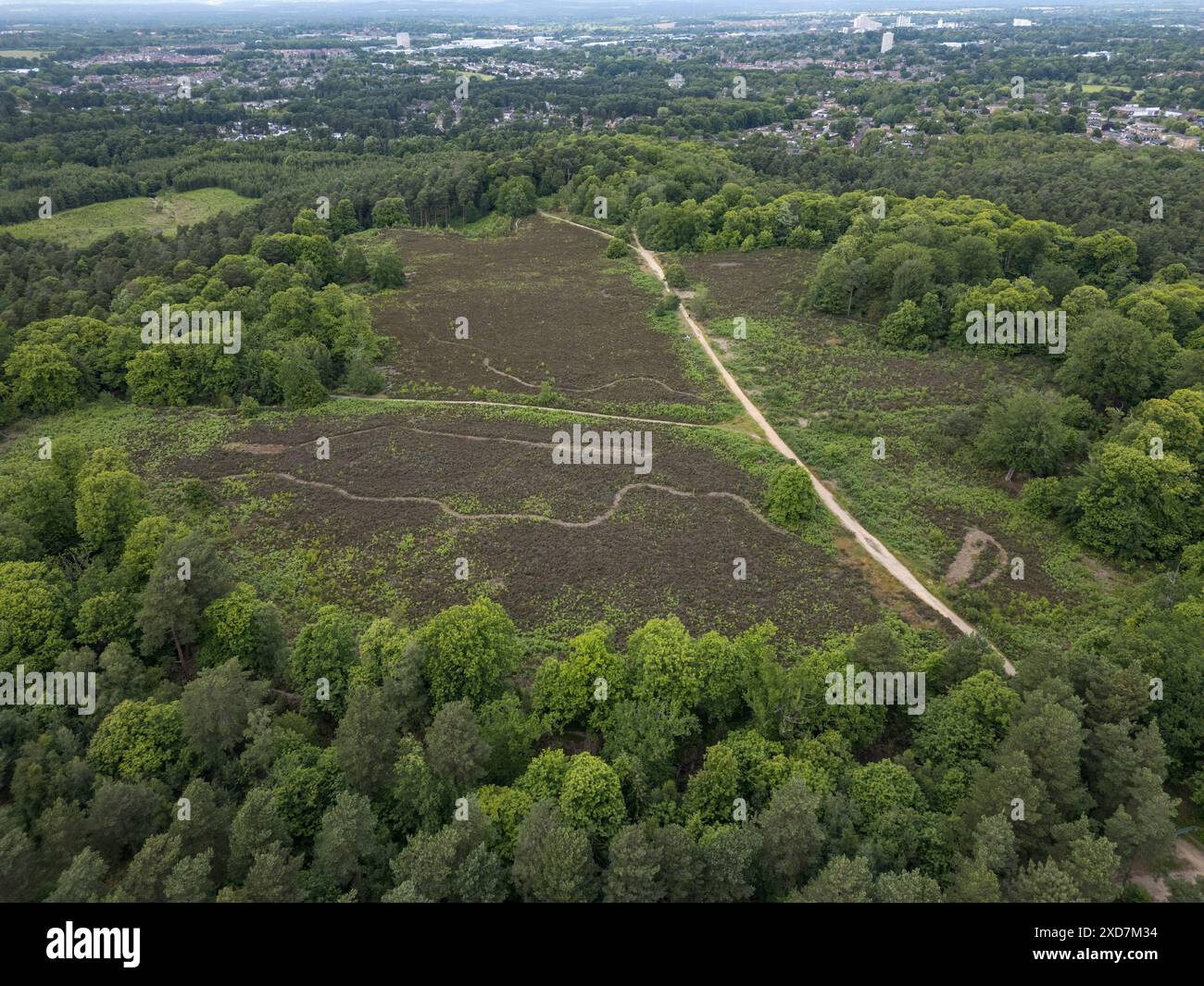 Aerial view of Caesar's Camp (see notes), Swinley Forest, near ...