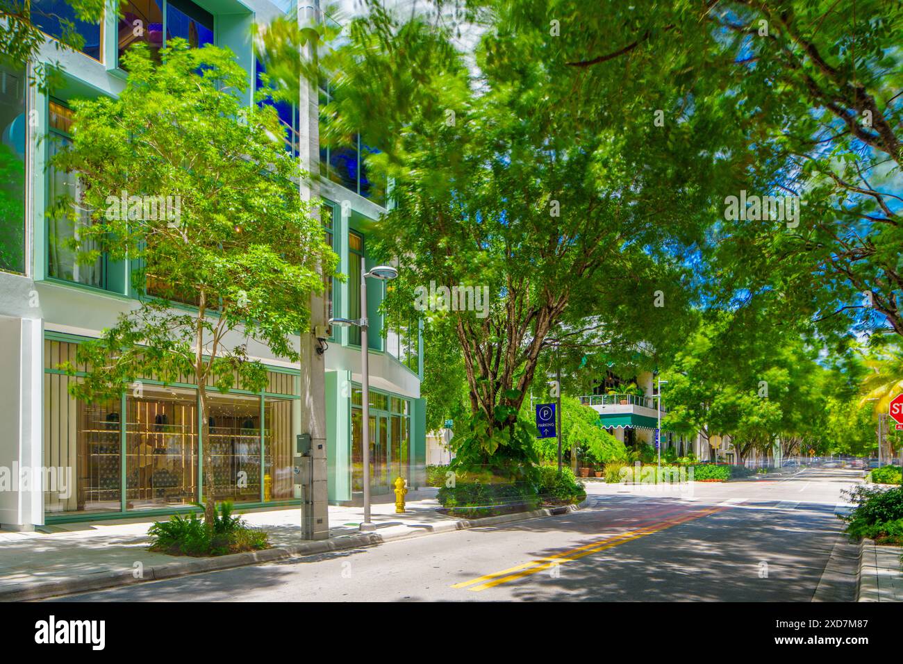 TRavel destination Miami Design District 2024. Florida, USA. Long ...