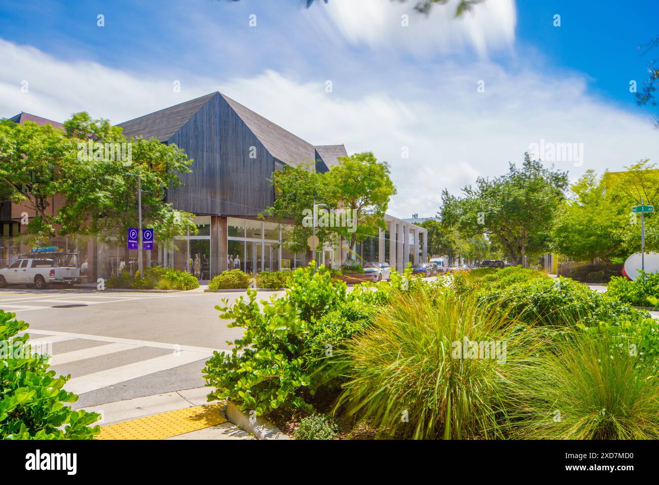 Beautiful landscaping at Miami Design District intersections. 2024 ...