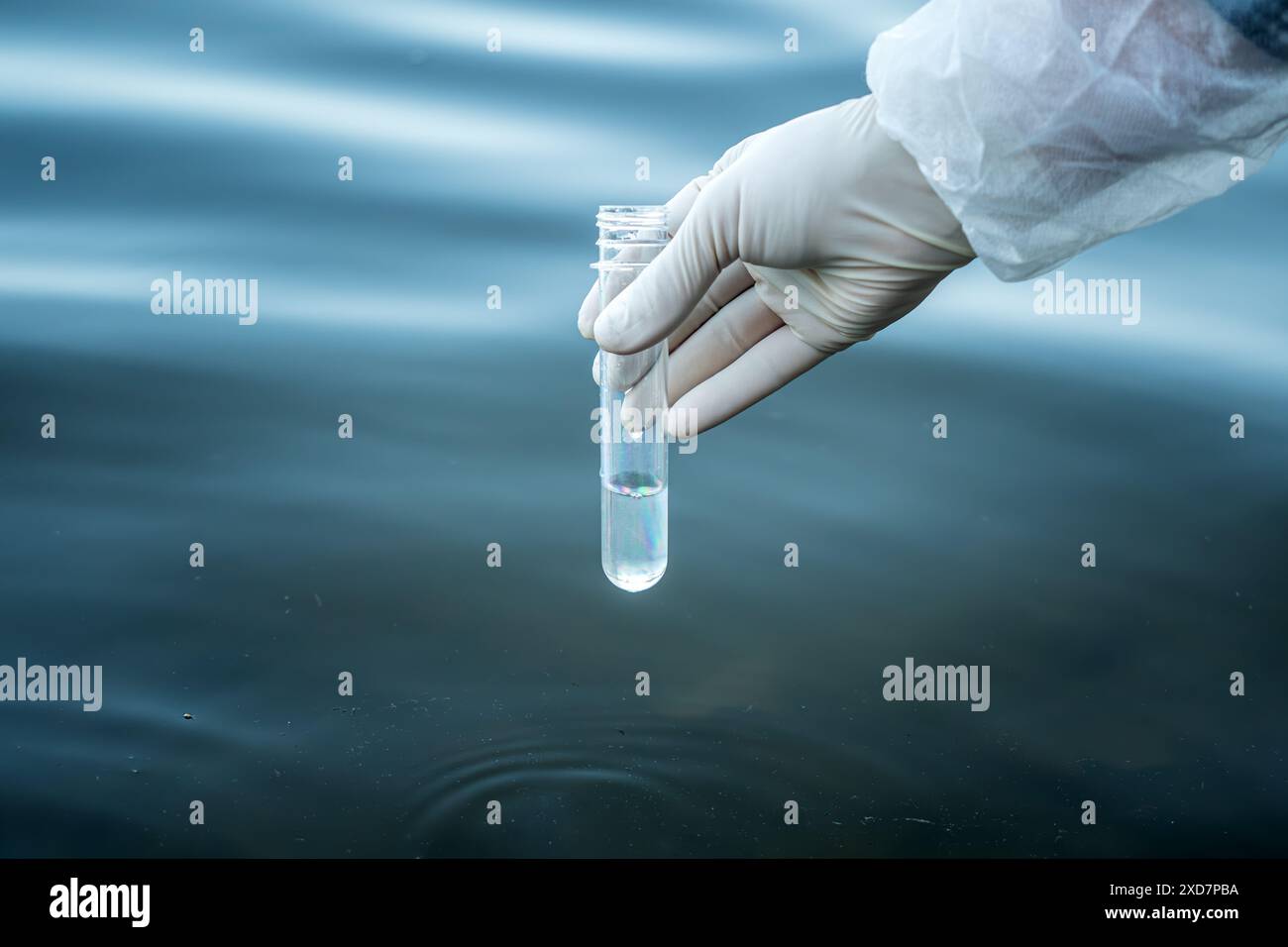 examination of water quality in a natural reservoir. a test tube in a ...