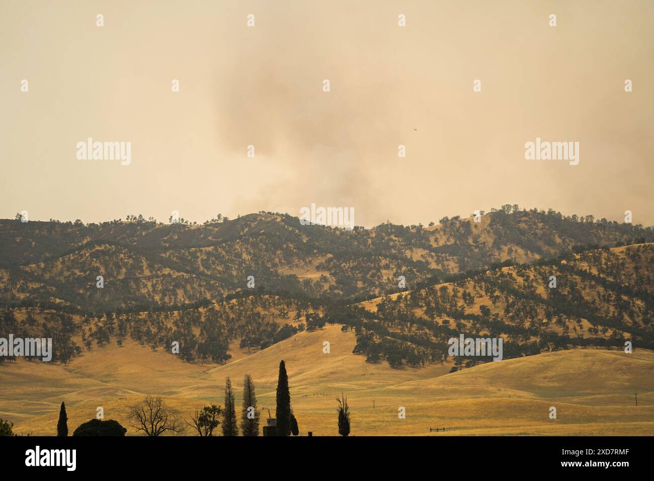 United States. 19th June, 2024. Smoke from the wildfire rises up from ...
