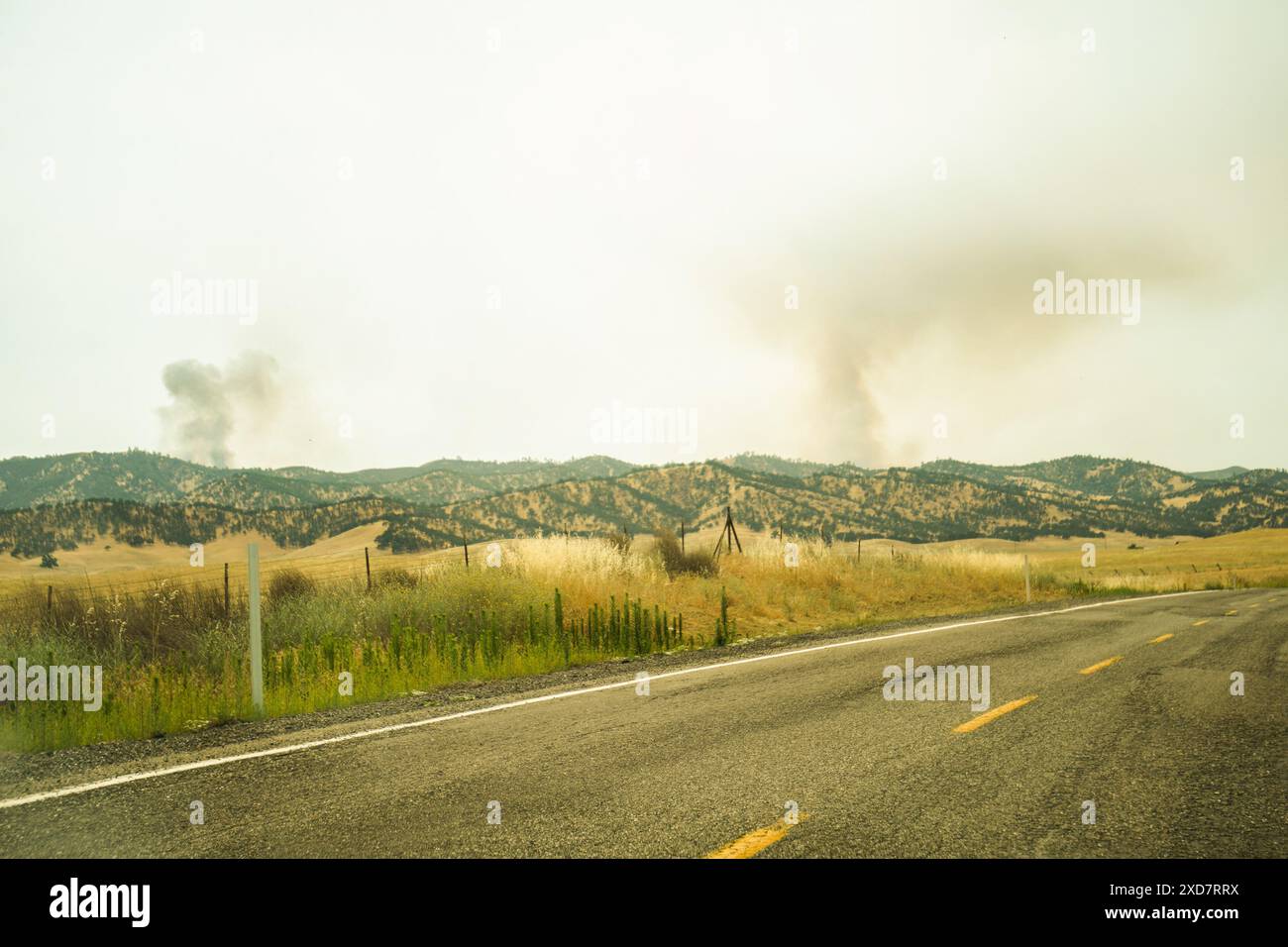 United States. 19th June, 2024. Smoke from the wildfire rises up from ...