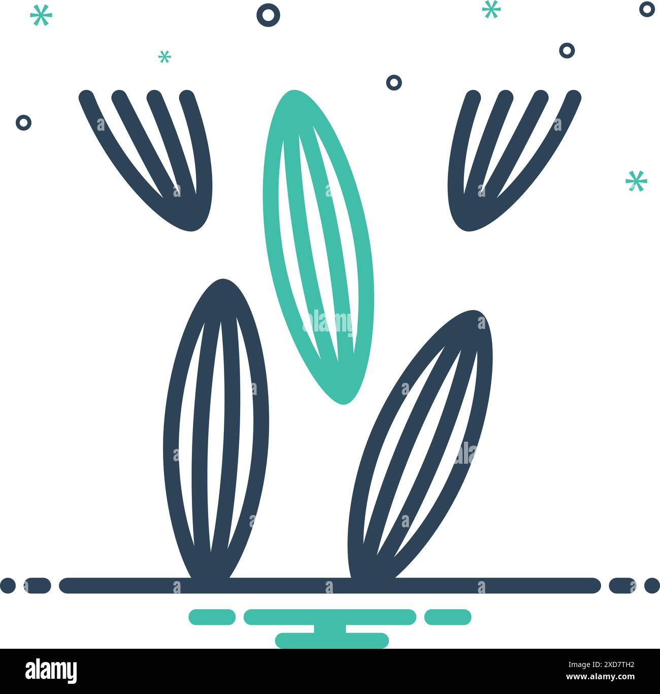 Cumin seed Stock Vector Images - Alamy