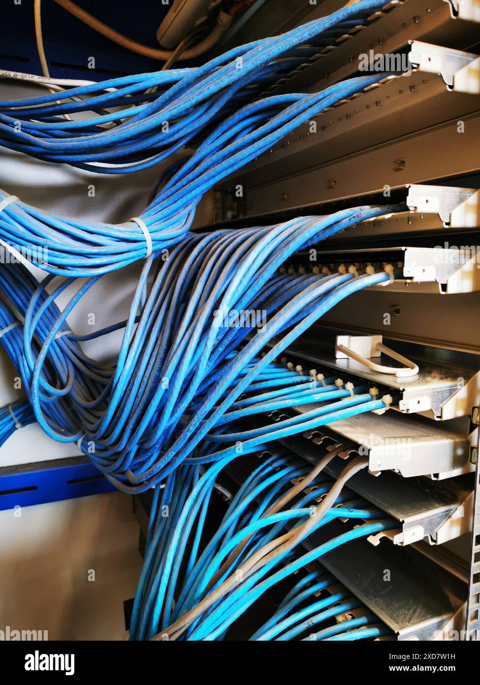 real rj45 switch texture as nice technology background Stock Photo - Alamy