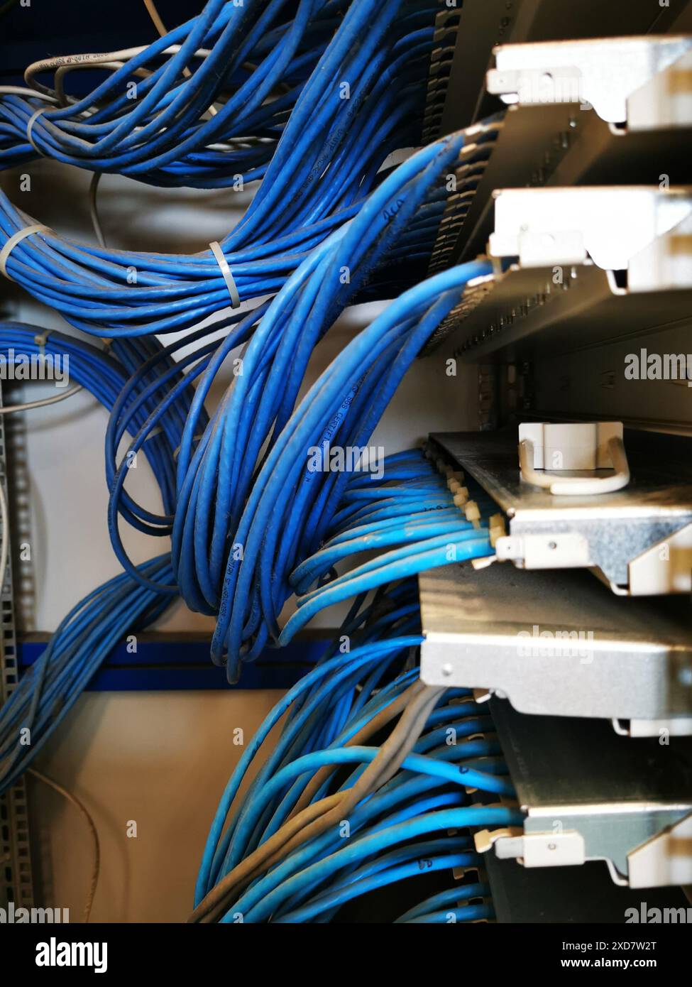 real rj45 switch texture as nice technology background Stock Photo - Alamy