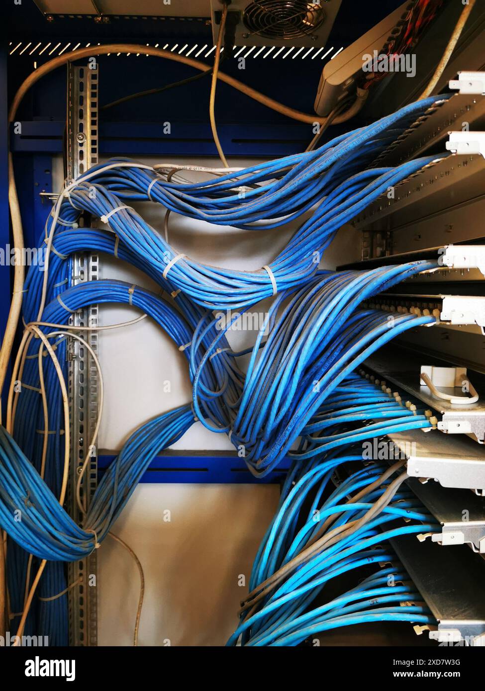 real rj45 switch texture as nice technology background Stock Photo - Alamy