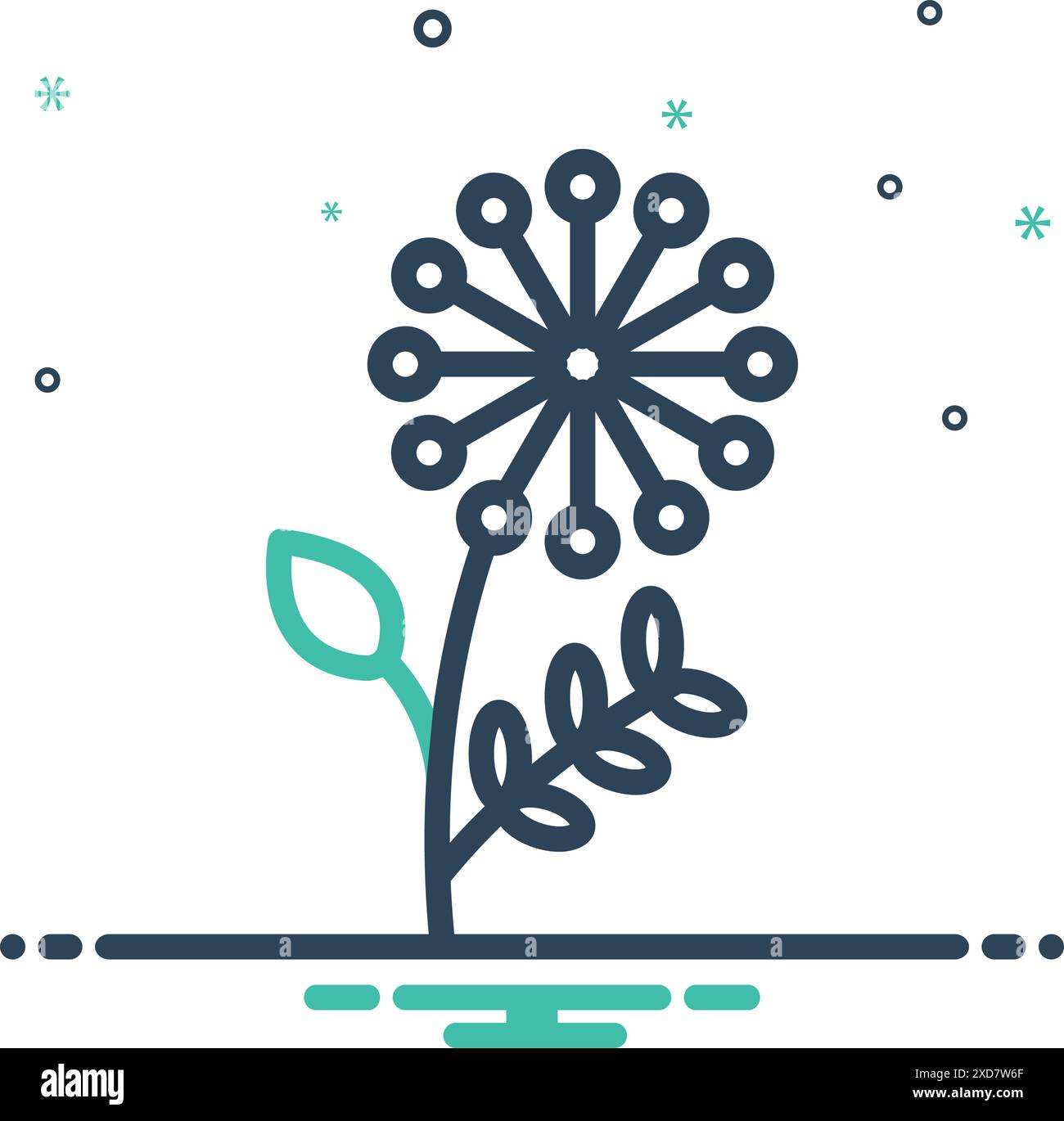 Icon for touch me not, mimosa pudica Stock Vector Image & Art - Alamy