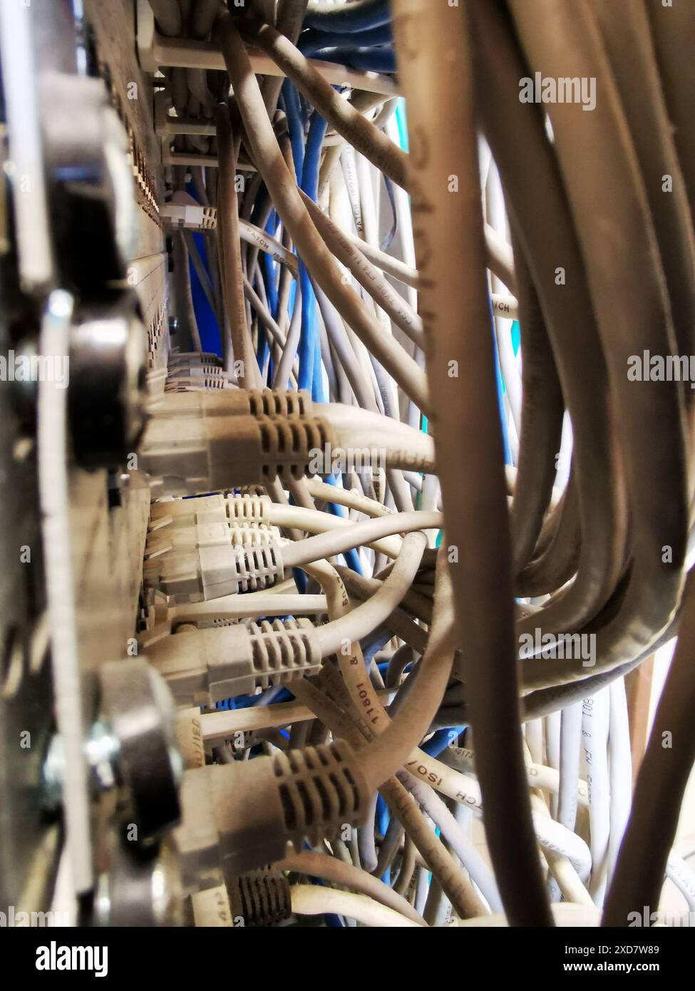 real rj45 switch texture as nice technology background Stock Photo - Alamy