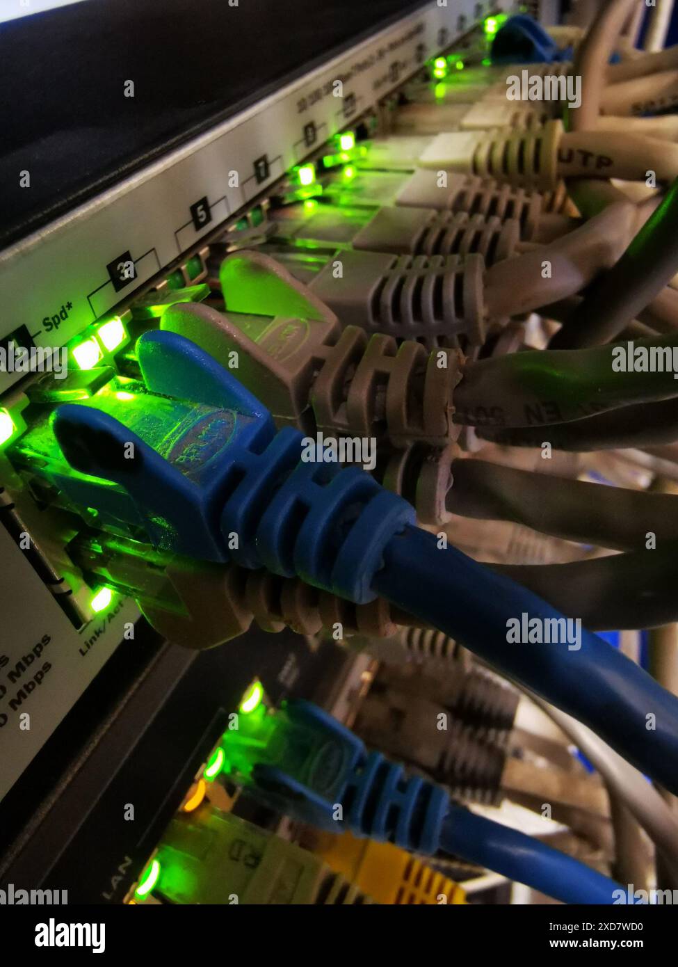 real rj45 switch texture as nice technology background Stock Photo - Alamy