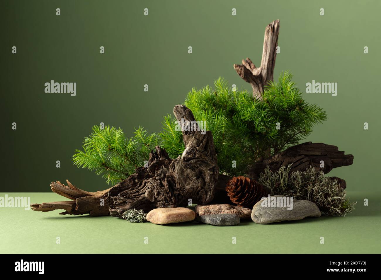 Abstract nature scene with a composition of spruce branches, stones ...