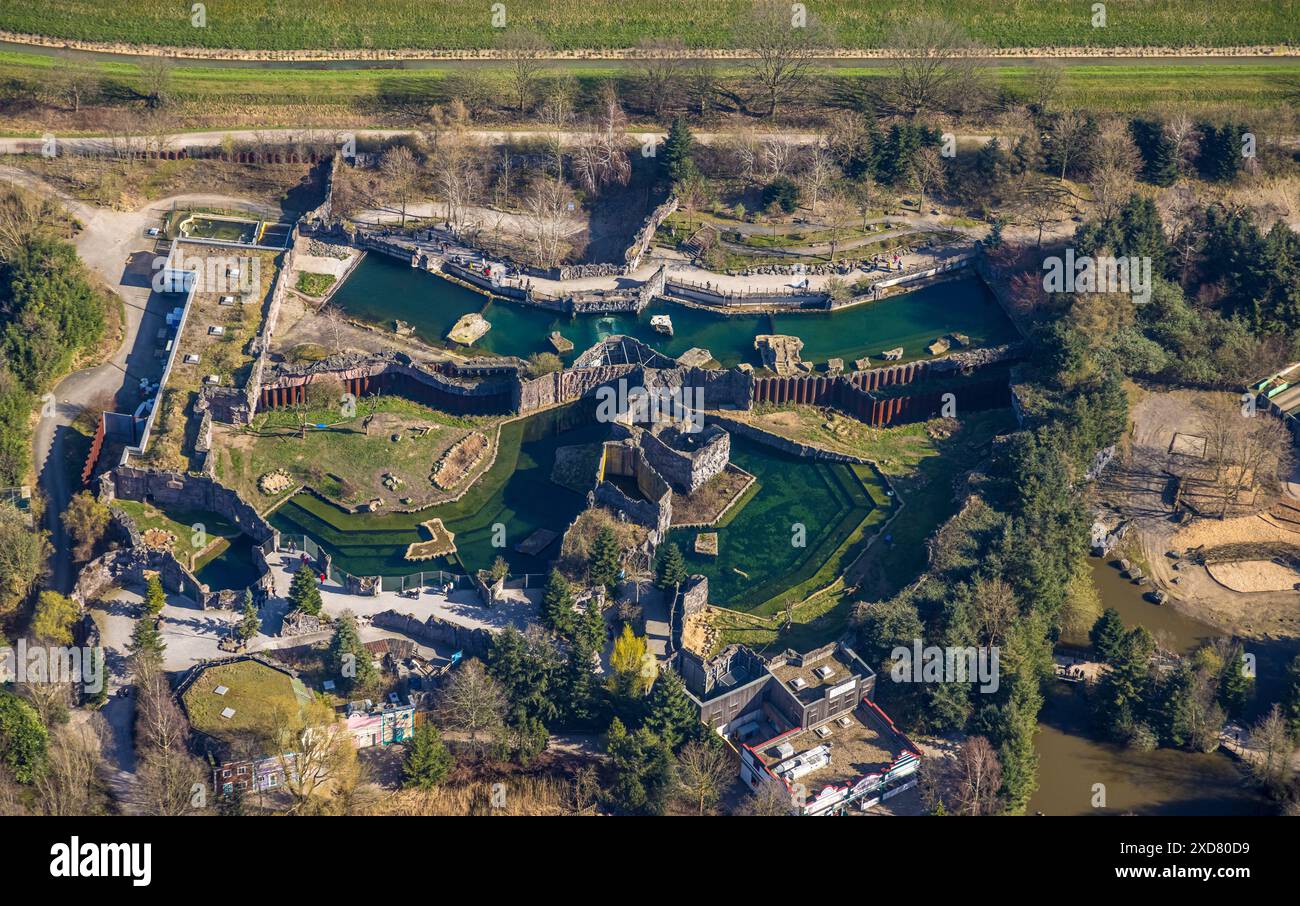 Aerial view, ZOOM Erlebniswelt, zoo and animal park, three polar bears ...