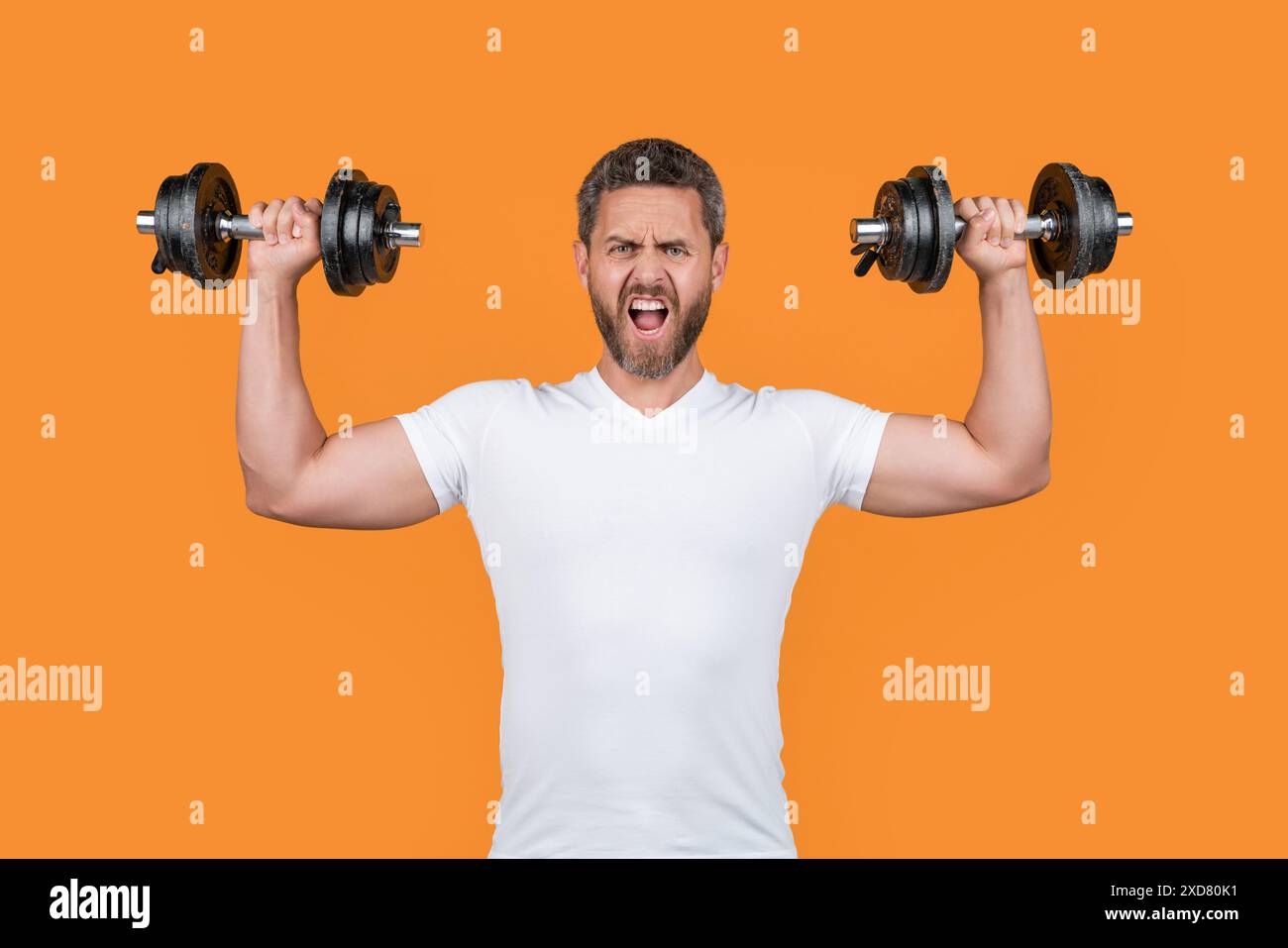 shouting muscular fitness guy hold barbell in shirt. muscular fitness ...