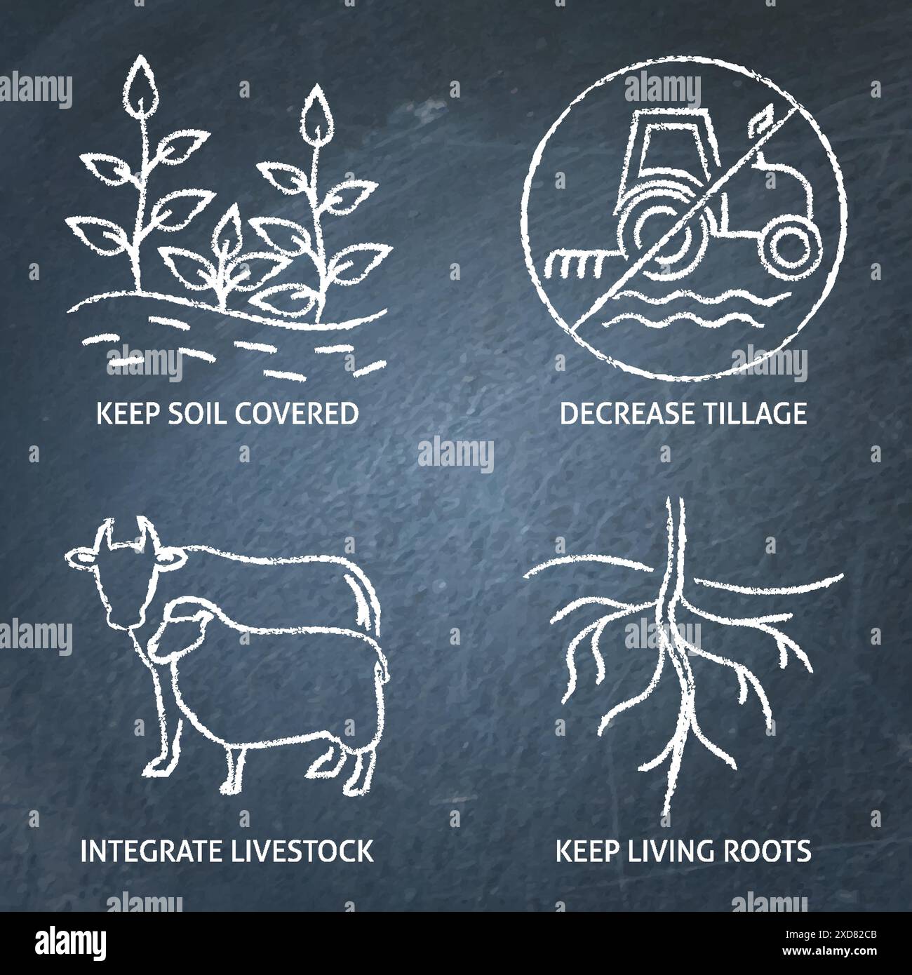 Regenerative agriculture principles icon set on chalkboard. Sustainable ...