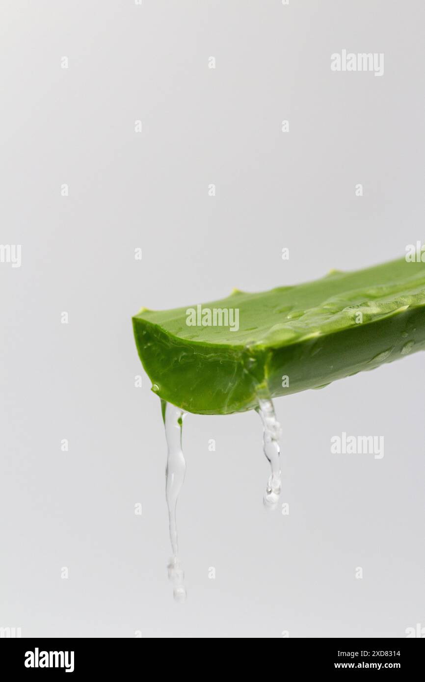 Aloe vera splash hi-res stock photography and images - Alamy
