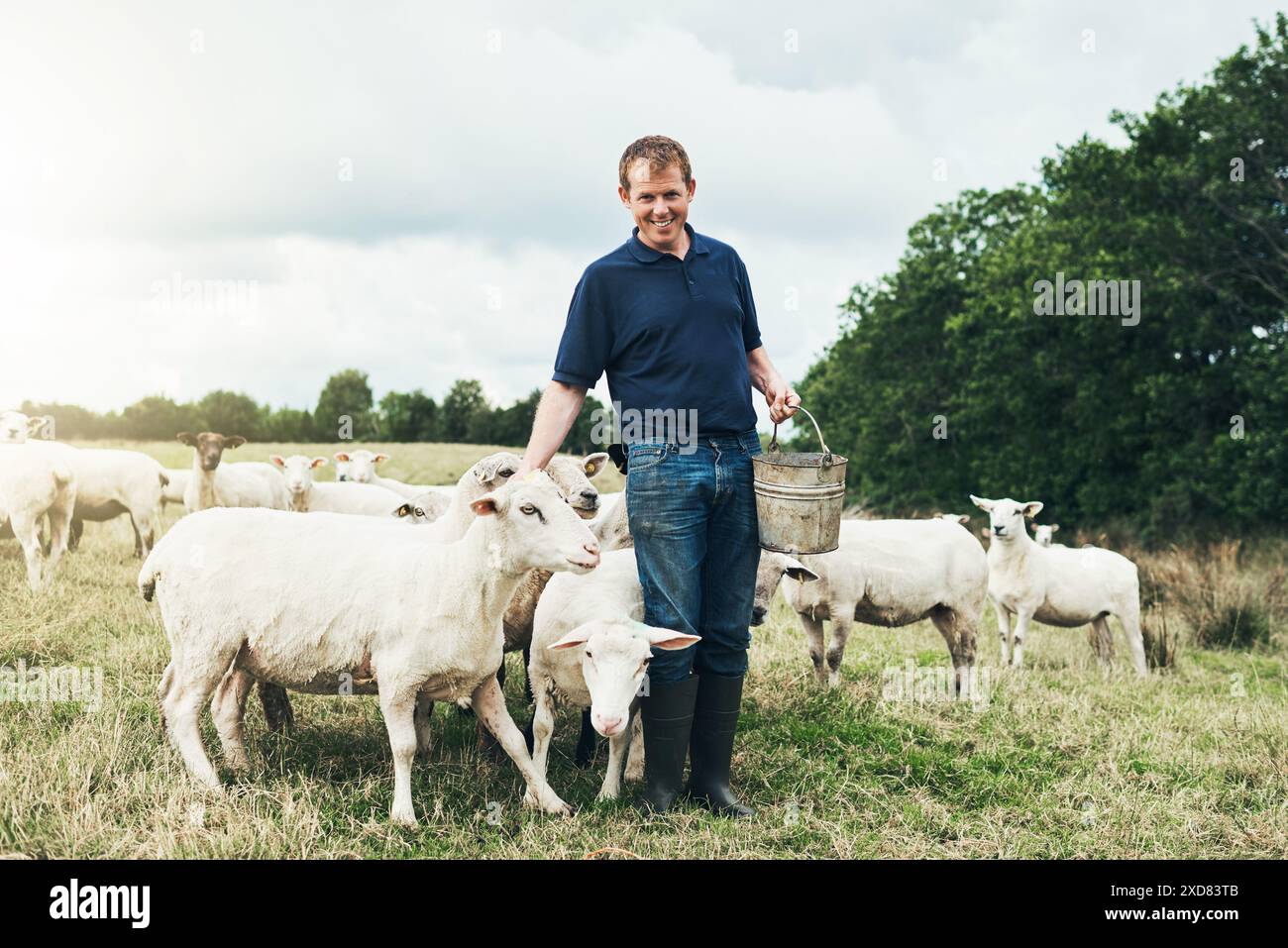 Farmer, portrait and cattle on field for sustainability, farming and food or dairy production ...