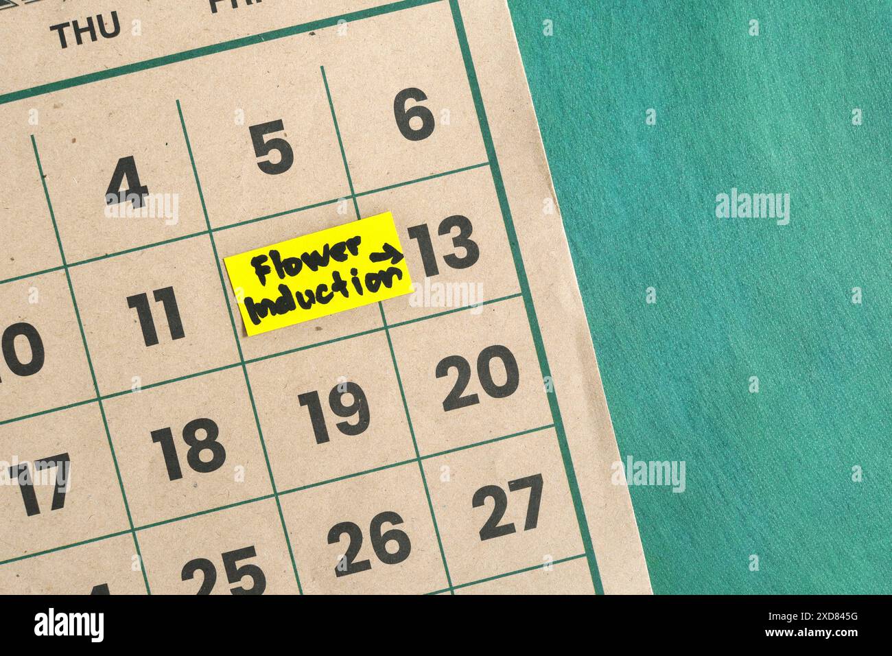 Flower induction schedule in farming and agriculture concept. Written ...