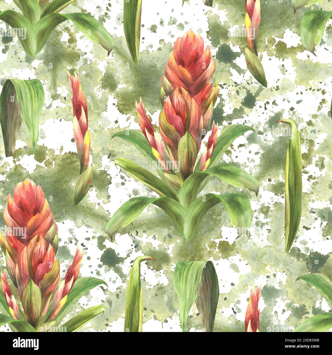 Tropical flower seamless pattern, red bromeliad buds and leaves on ...