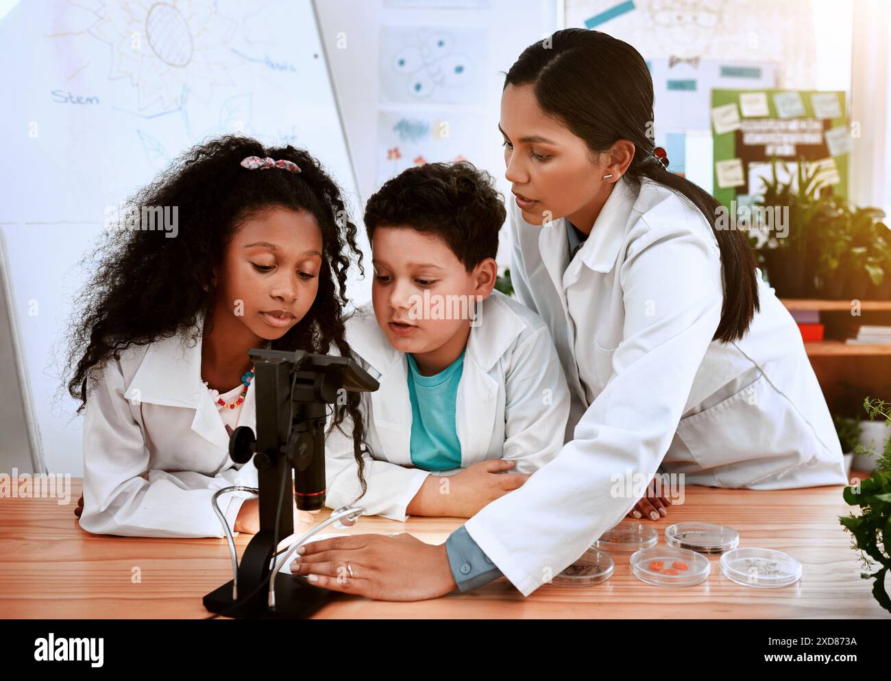 Learning, students and children in classroom for microscope, teacher and science for experiment ...