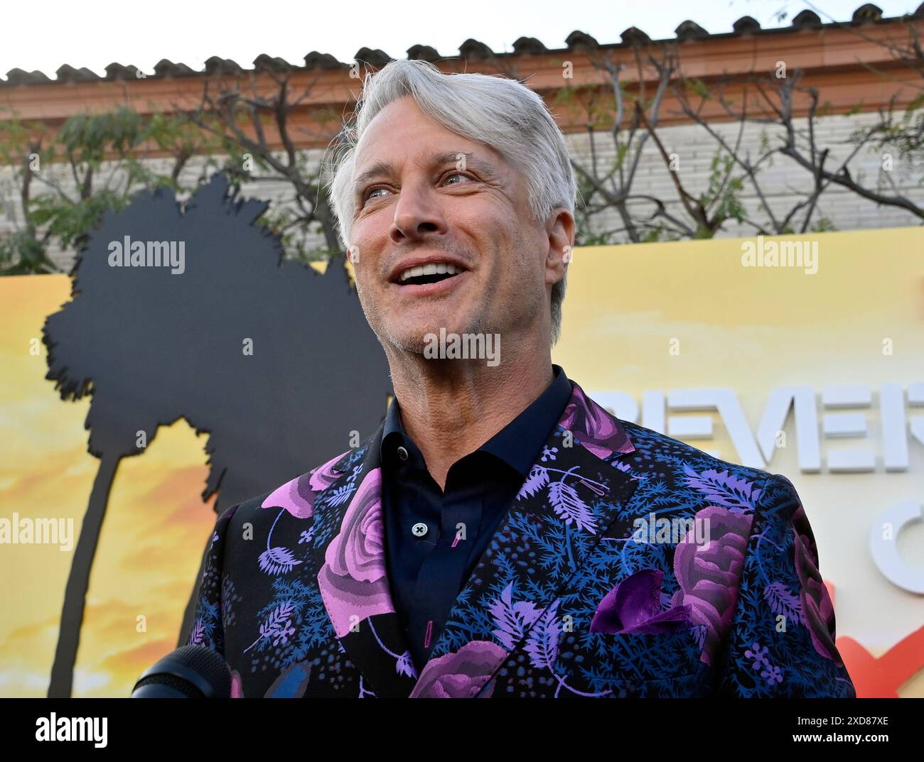 Cast member Bronson Pinchot attends the premiere of the comedy crime ...