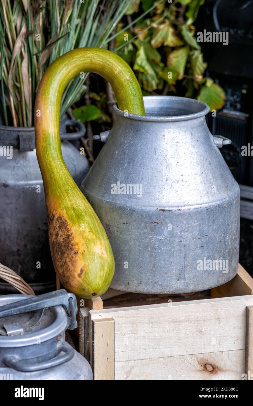 still life with various old aluminum objects, historical dishes ...
