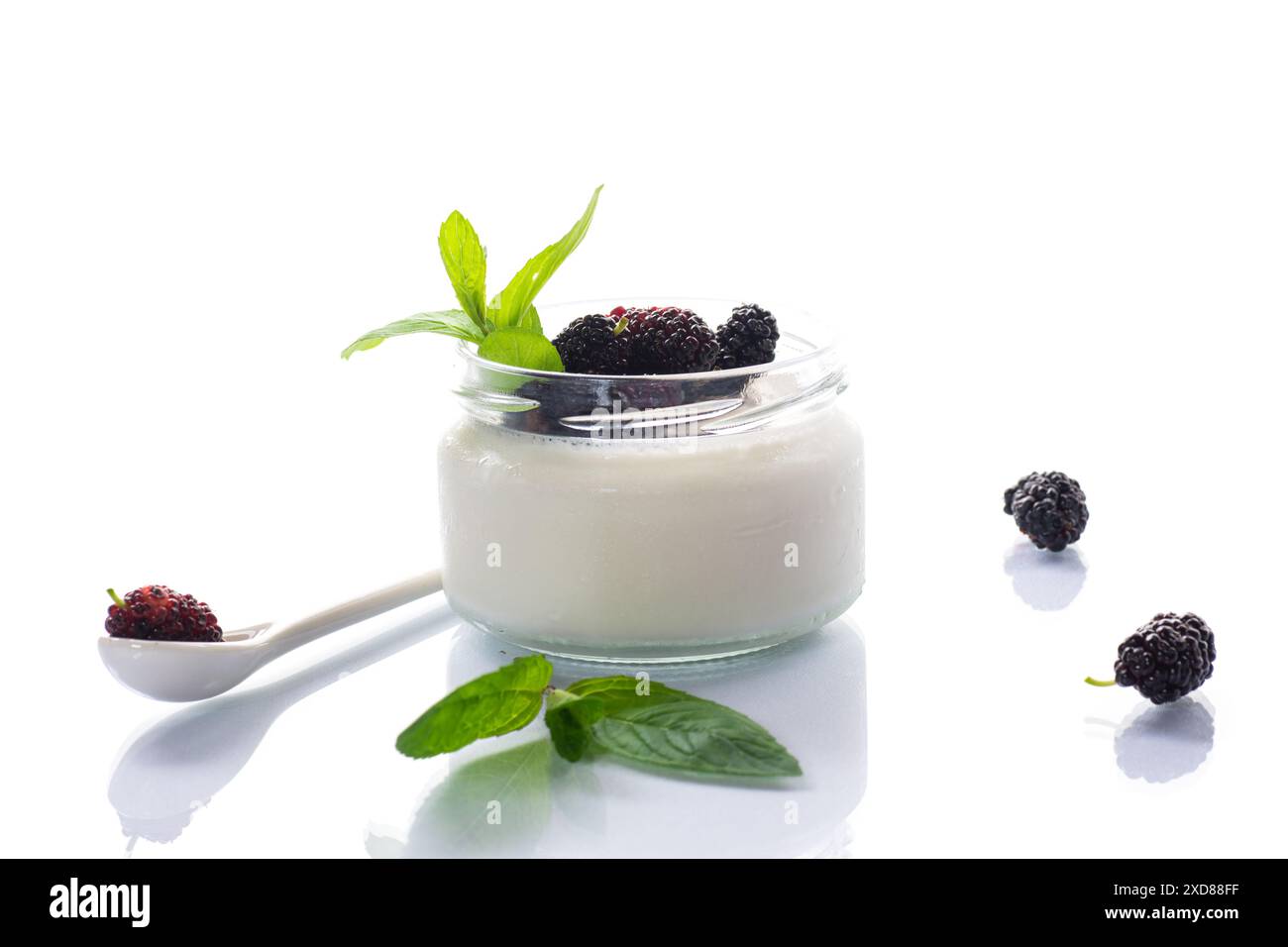 homemade sweet yogurt in a jar with black mulberries isolated on white ...