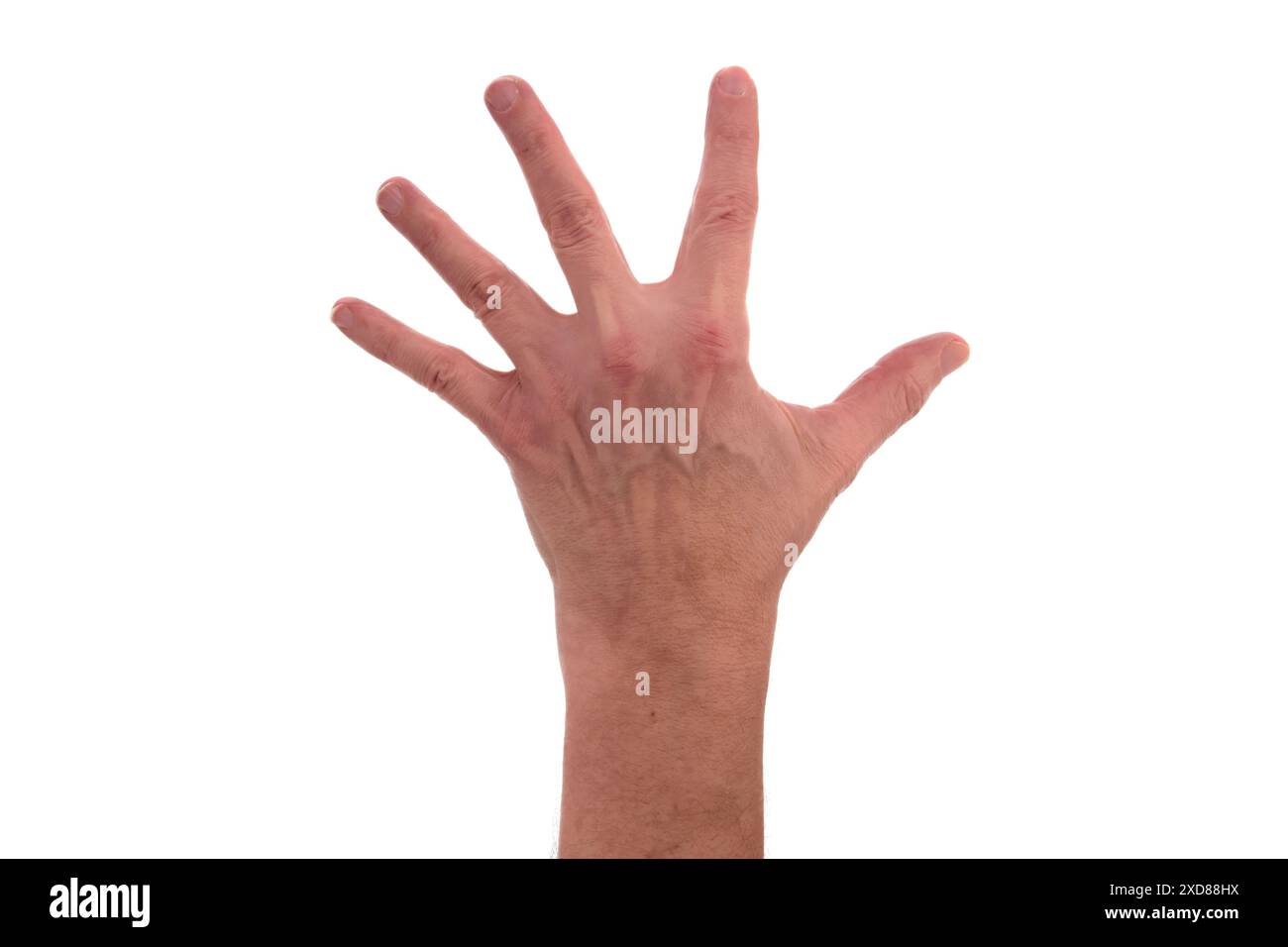 Hand signs. Five. Male hand with five fingers directed upward isolated ...