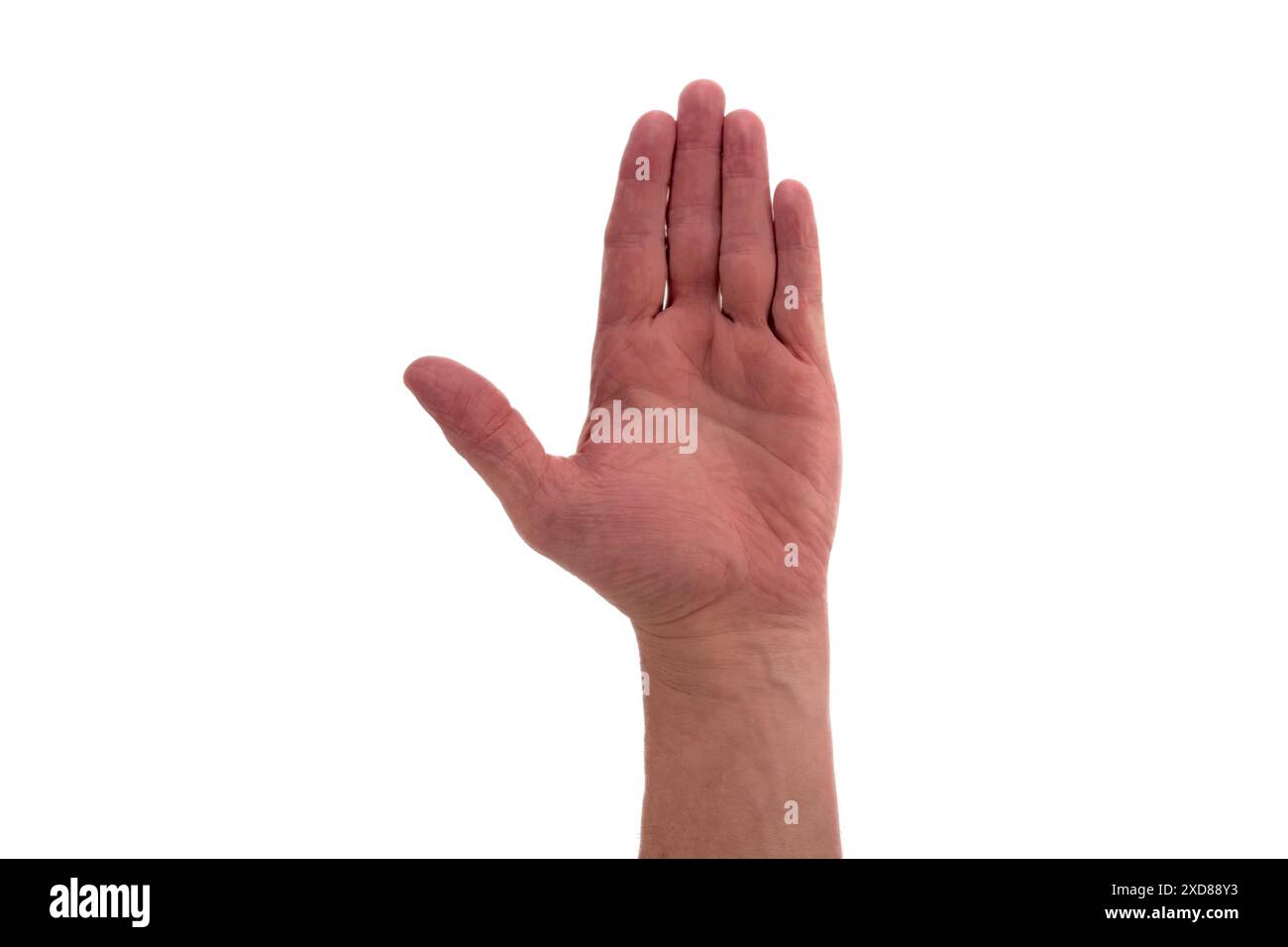 Hand signs. Male hand with five fingers isolated on white background ...
