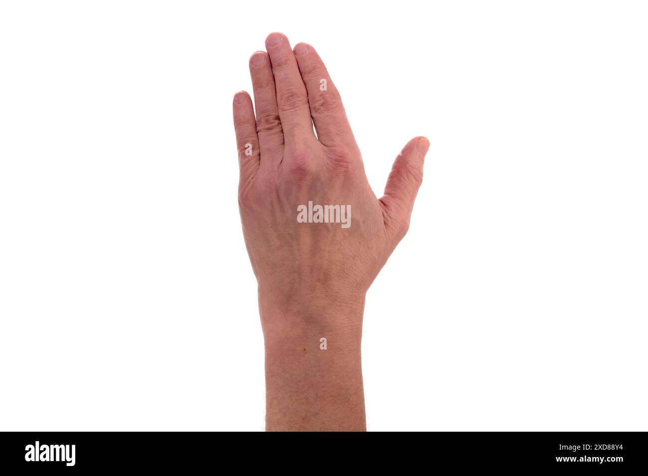 Hand signs. Male hand with five fingers isolated on white background ...