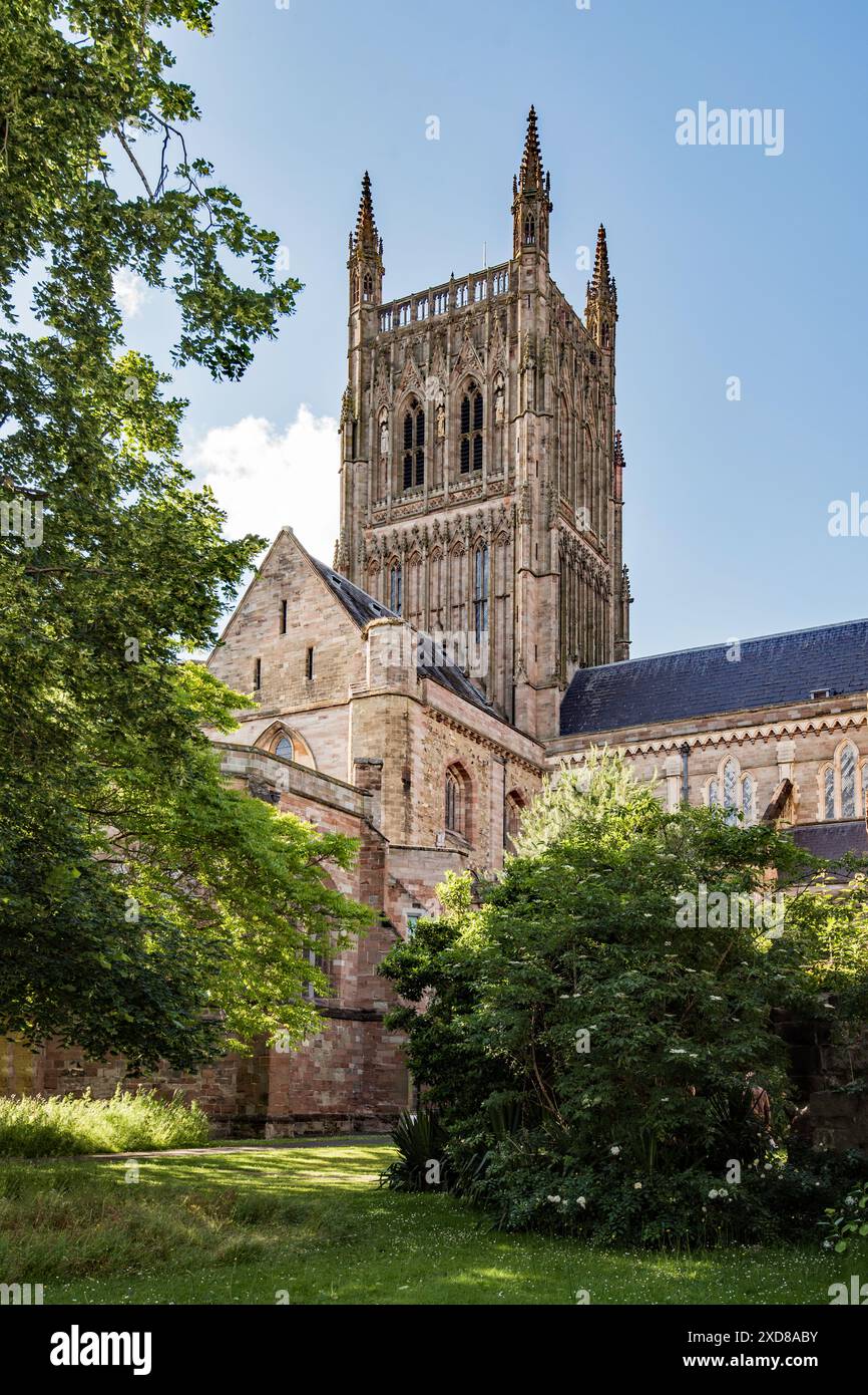 Worcester Cathedral tower from S.E. taken from a peregine watching site ...