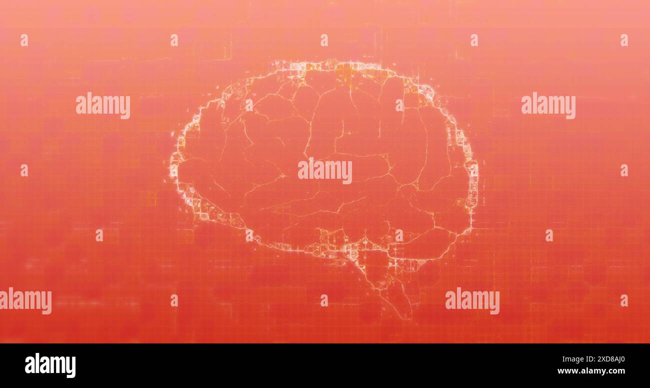Human brain mental analysis hi-res stock photography and images - Alamy