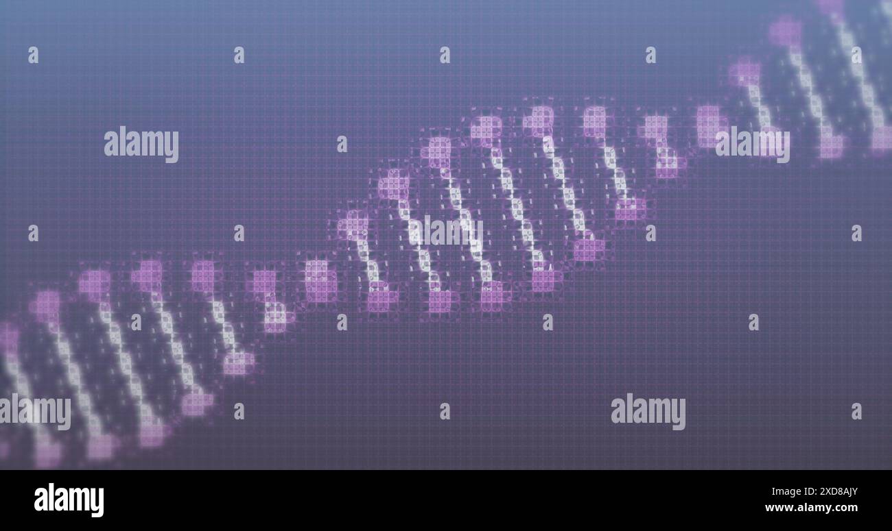 Image of dna strand spinning on purple background Stock Photo - Alamy