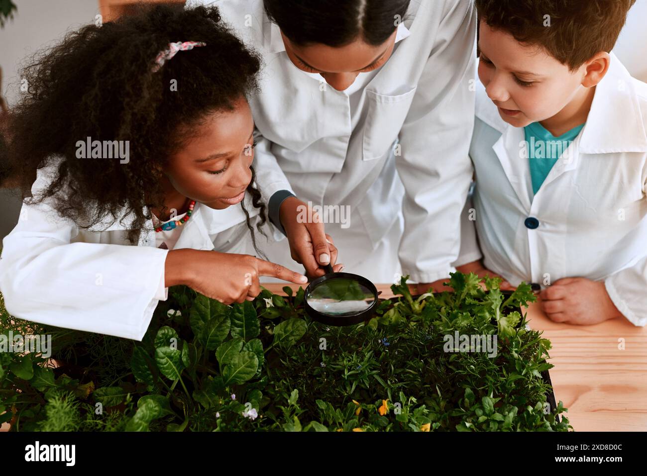 Students, teacher and school with microscope for plants on education ...