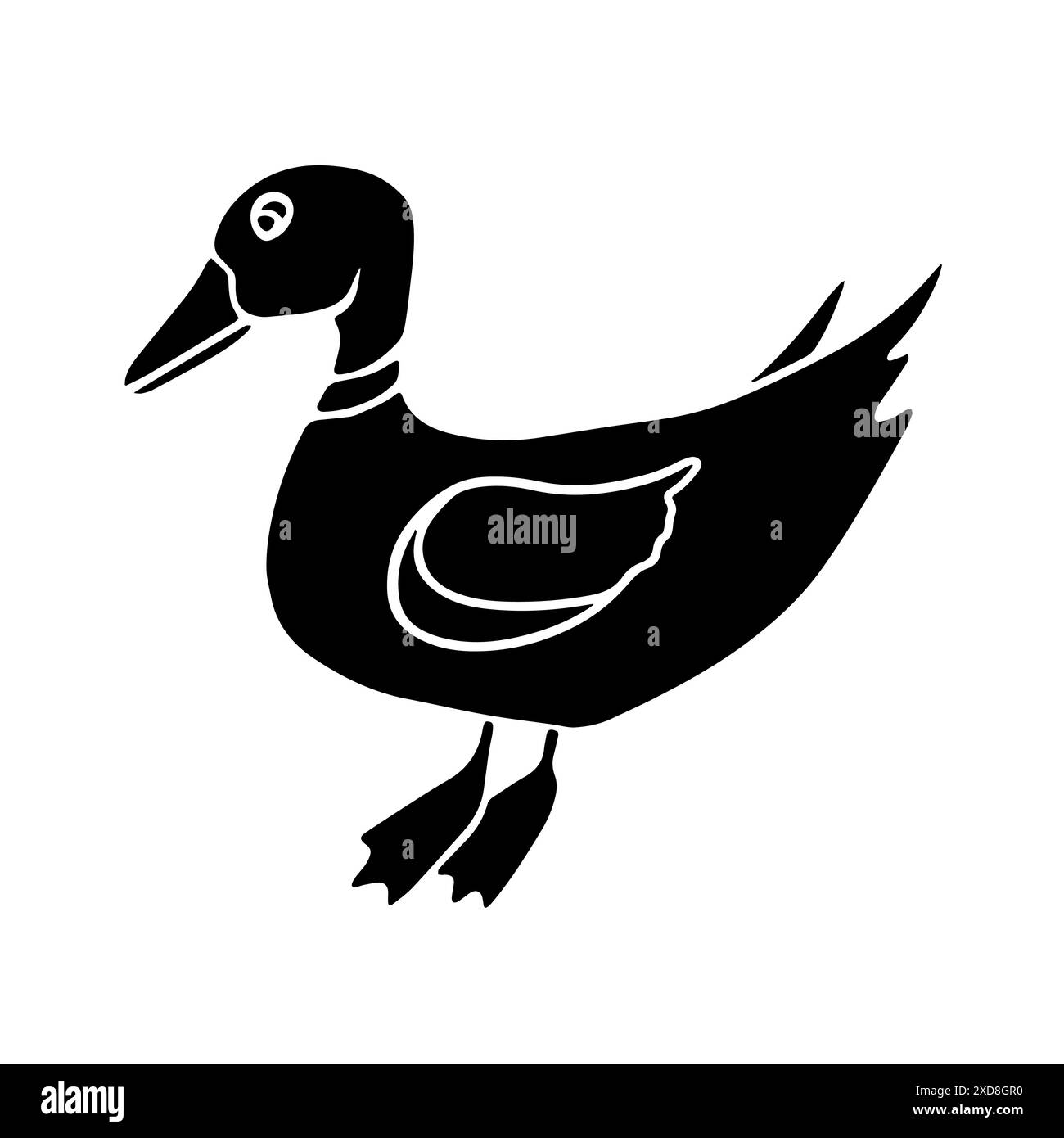 Vector isolated illustration of black and white duck. Poultry Stock ...