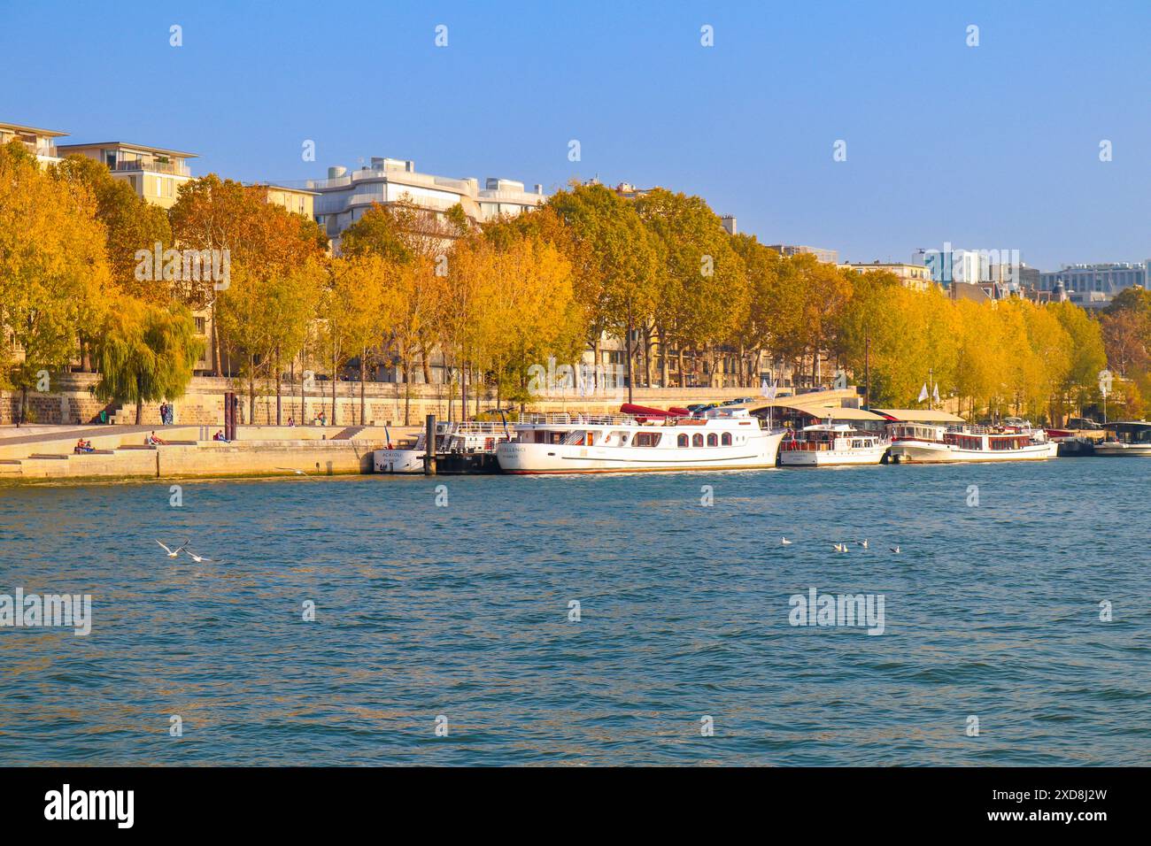 Autumn in Paris, France Stock Photo - Alamy